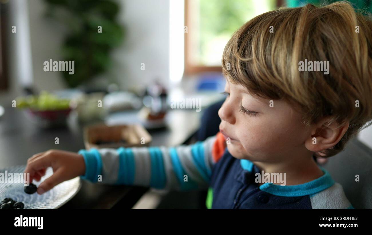 One small boy grabs blueberry fruit snack eating breakfast healthy food ...