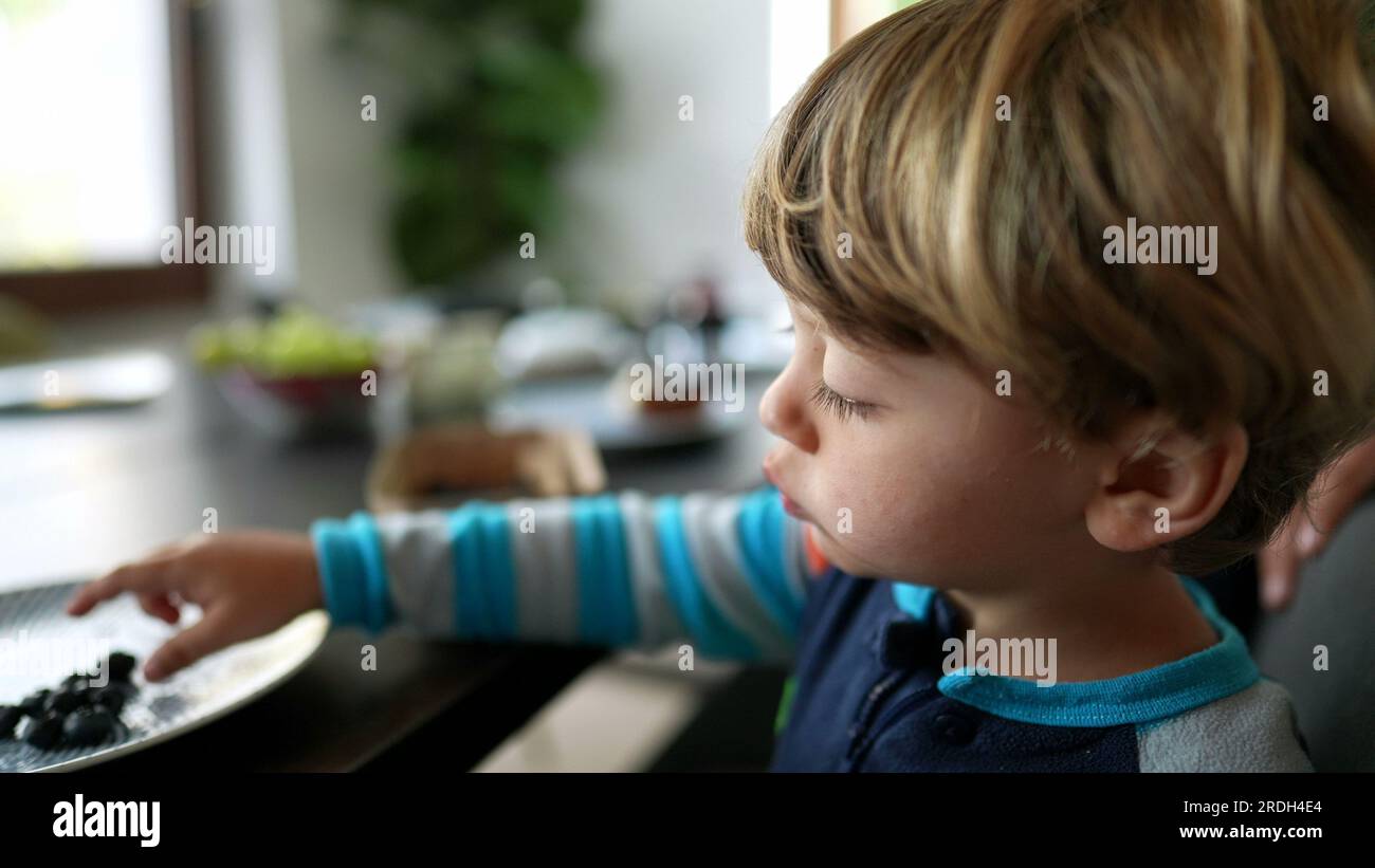 One small boy grabs blueberry fruit snack eating breakfast healthy food ...