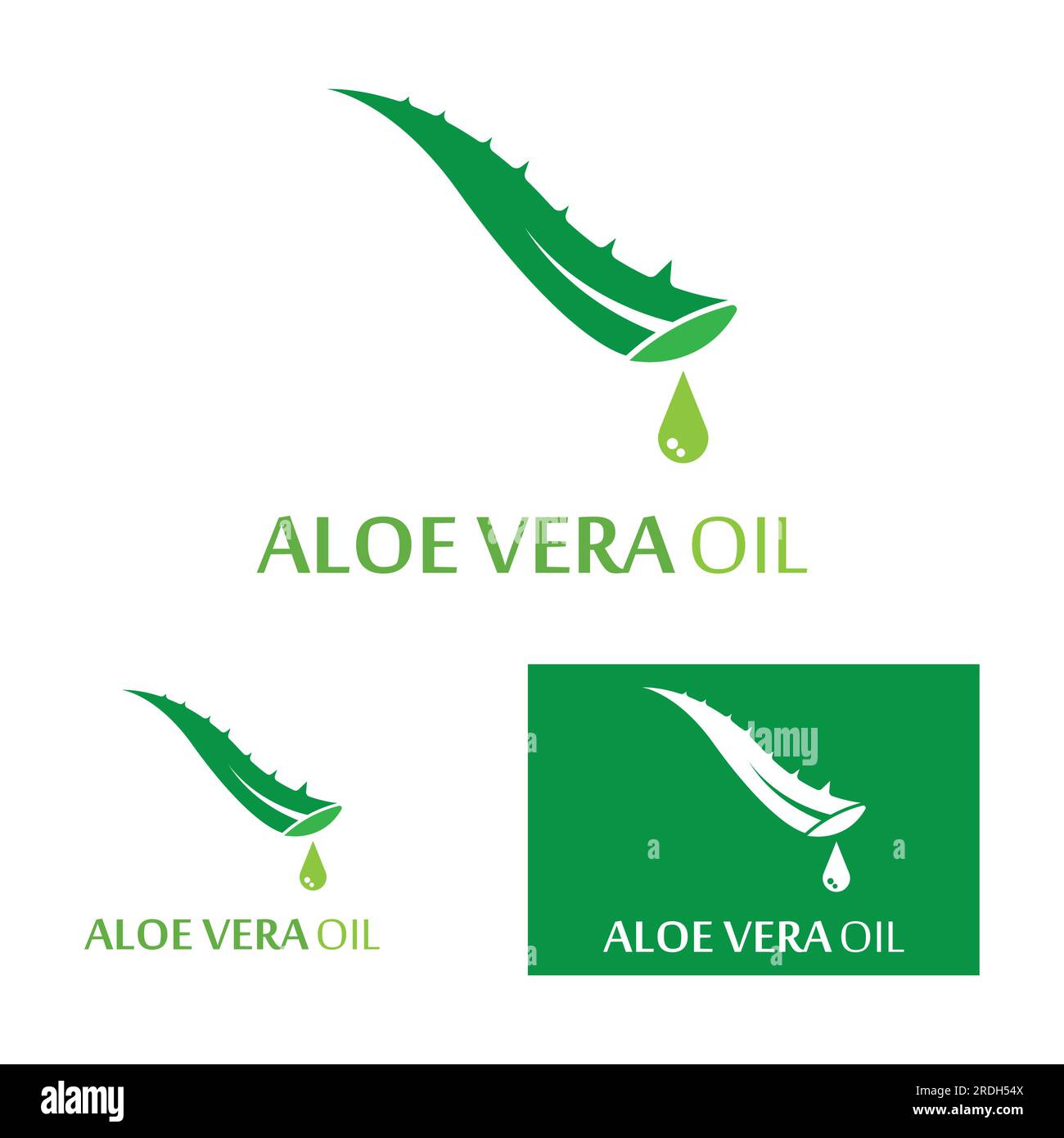 Aloe vera icon logo vector illustration Stock Vector Image & Art - Alamy