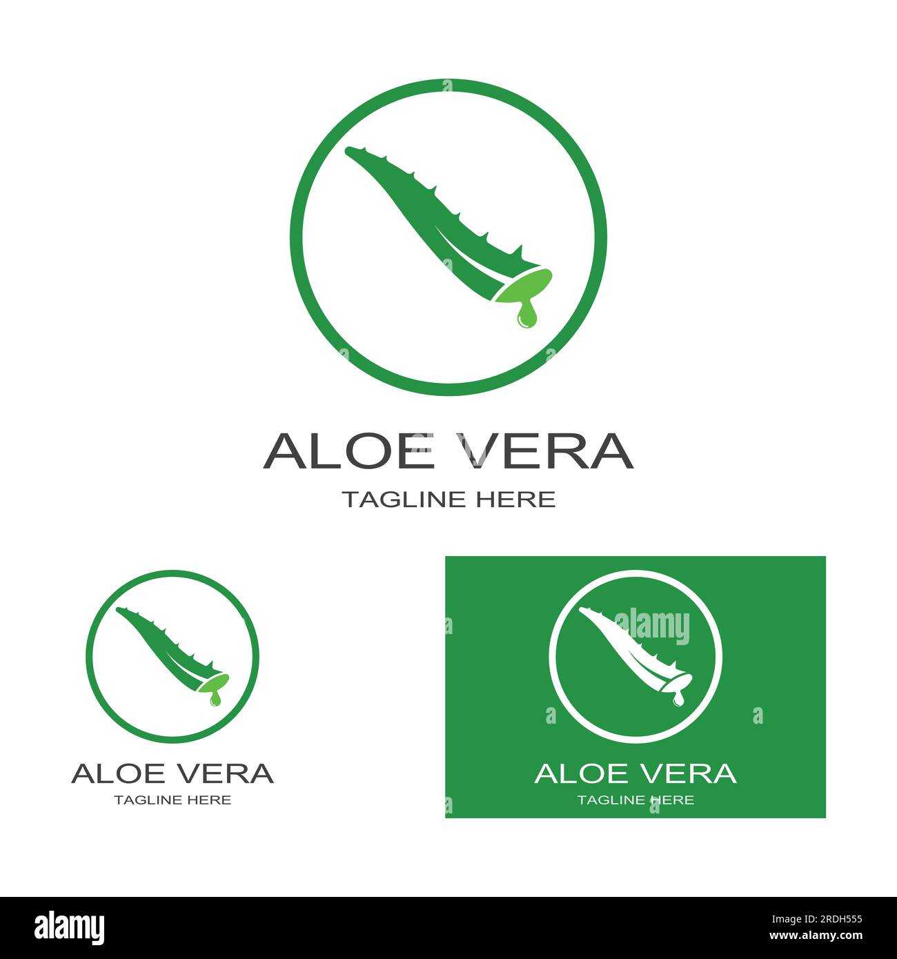 Aloe vera icon logo vector illustration Stock Vector Image & Art - Alamy