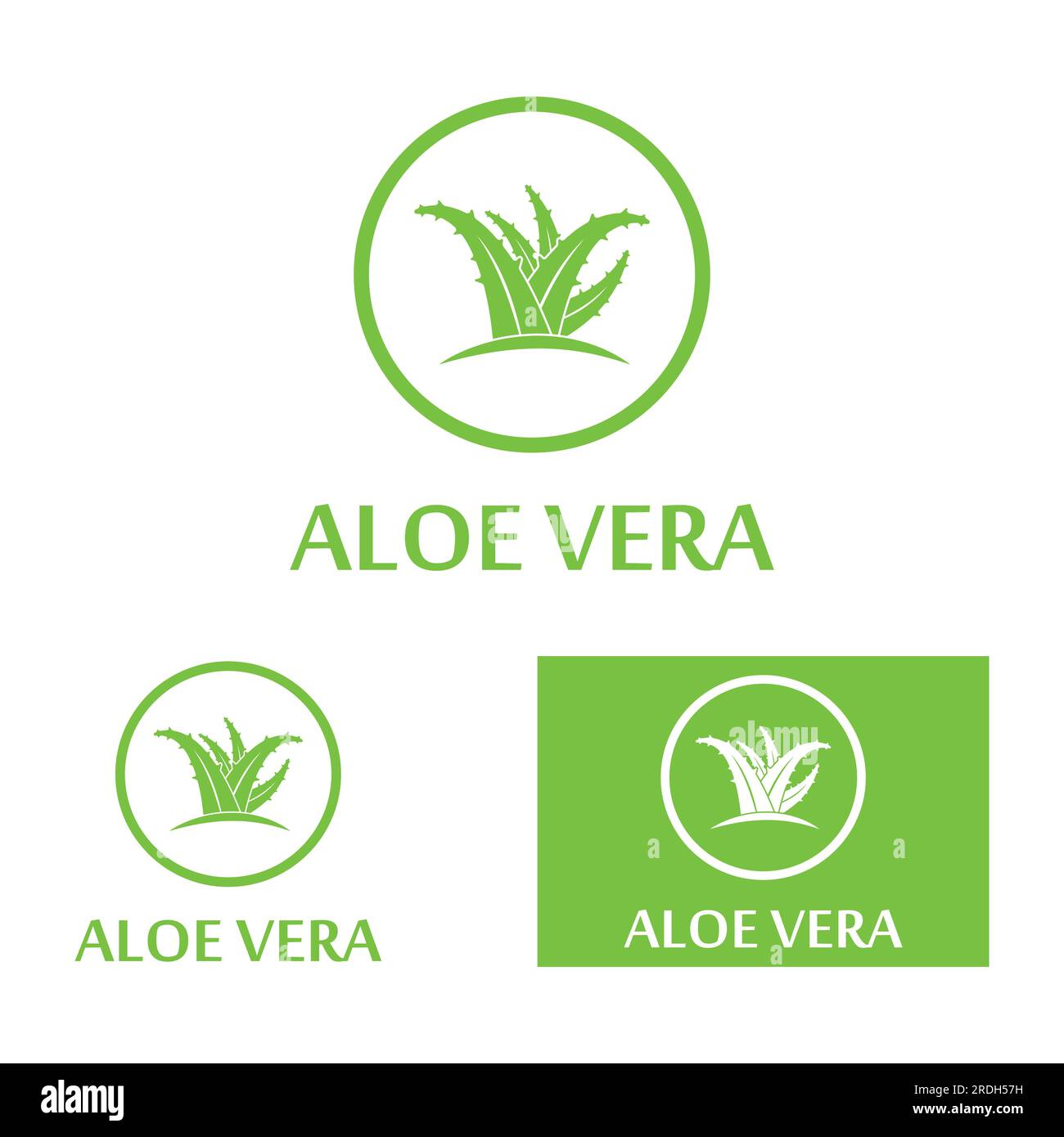 Aloe vera icon logo vector illustration Stock Vector Image & Art - Alamy