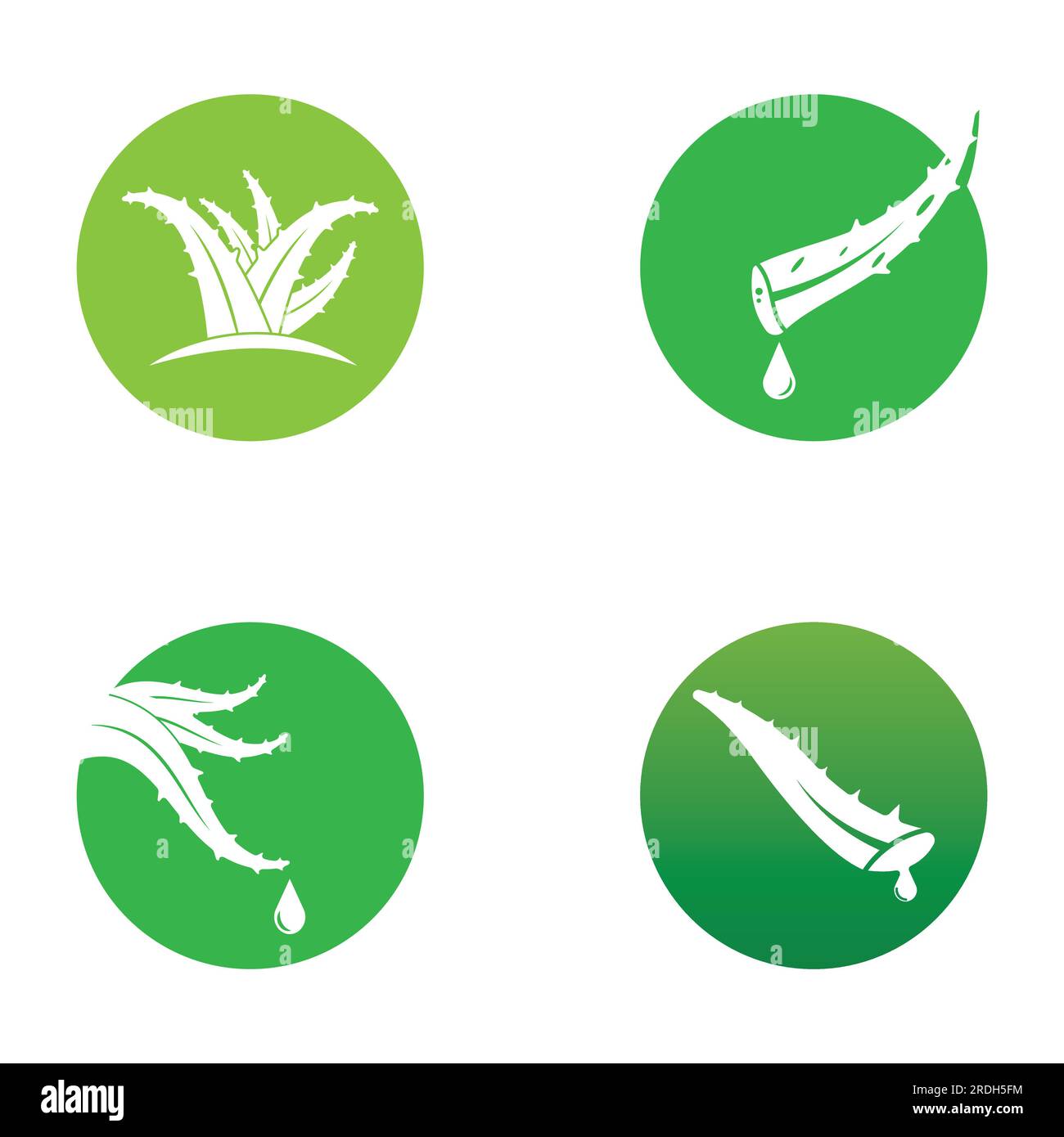 Aloe vera icon logo vector illustration Stock Vector Image & Art - Alamy