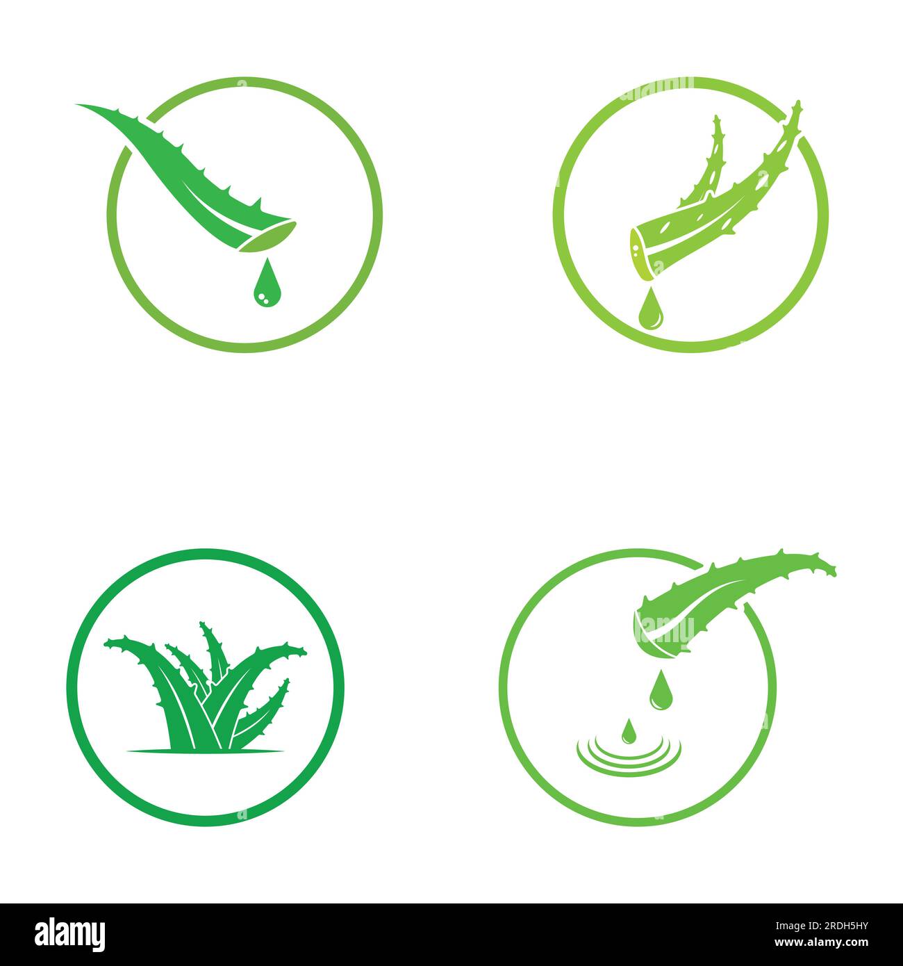 Aloe vera icon logo vector illustration Stock Vector Image & Art - Alamy