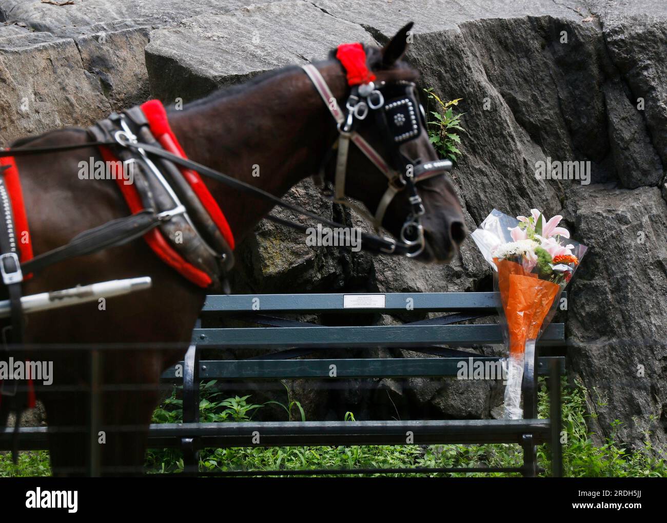 New York, United States. 21st July, 2023. A horse and carriage move ...