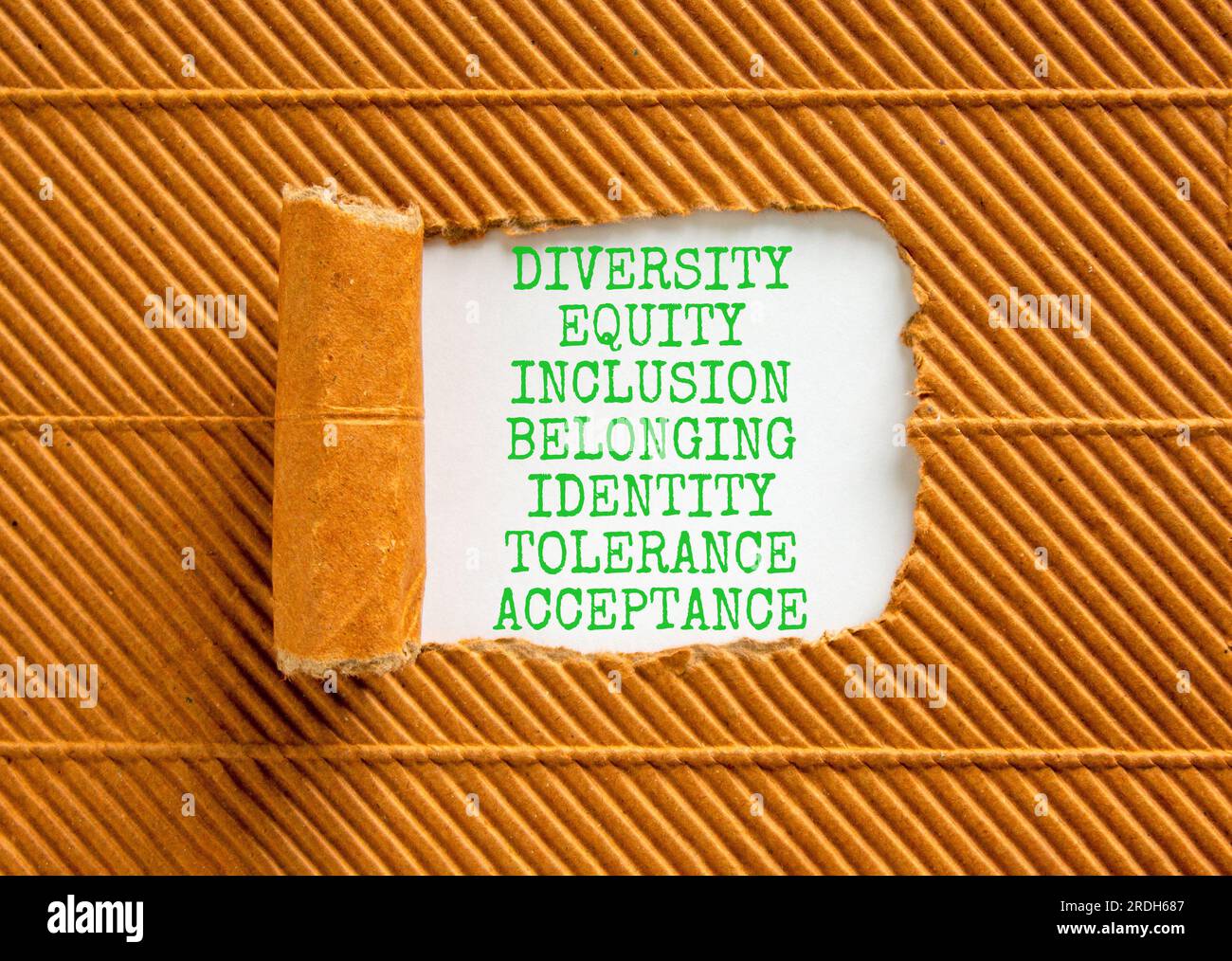 Diversity equity inclusion belonging symbol. Diversity equity inclusion ...