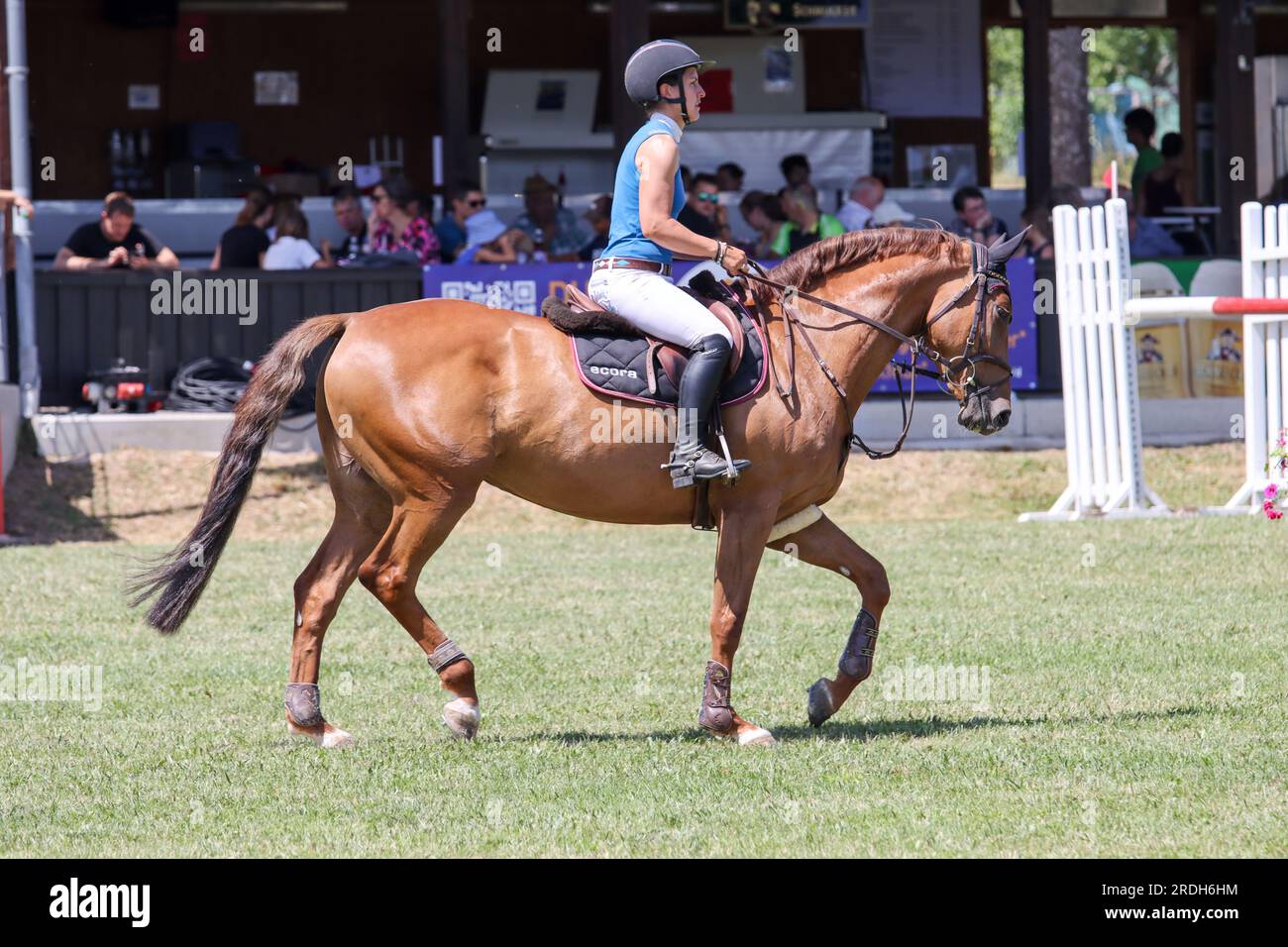 riding contest in germany Stock Photo - Alamy
