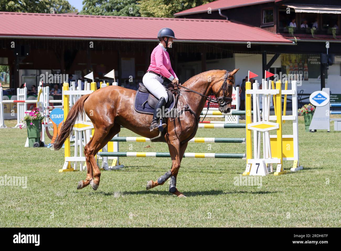 riding contest in germany Stock Photo - Alamy