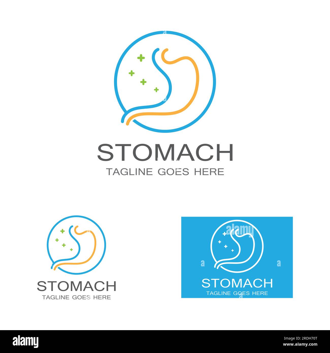stomach health and stomach care logo design Stock Vector Image & Art ...