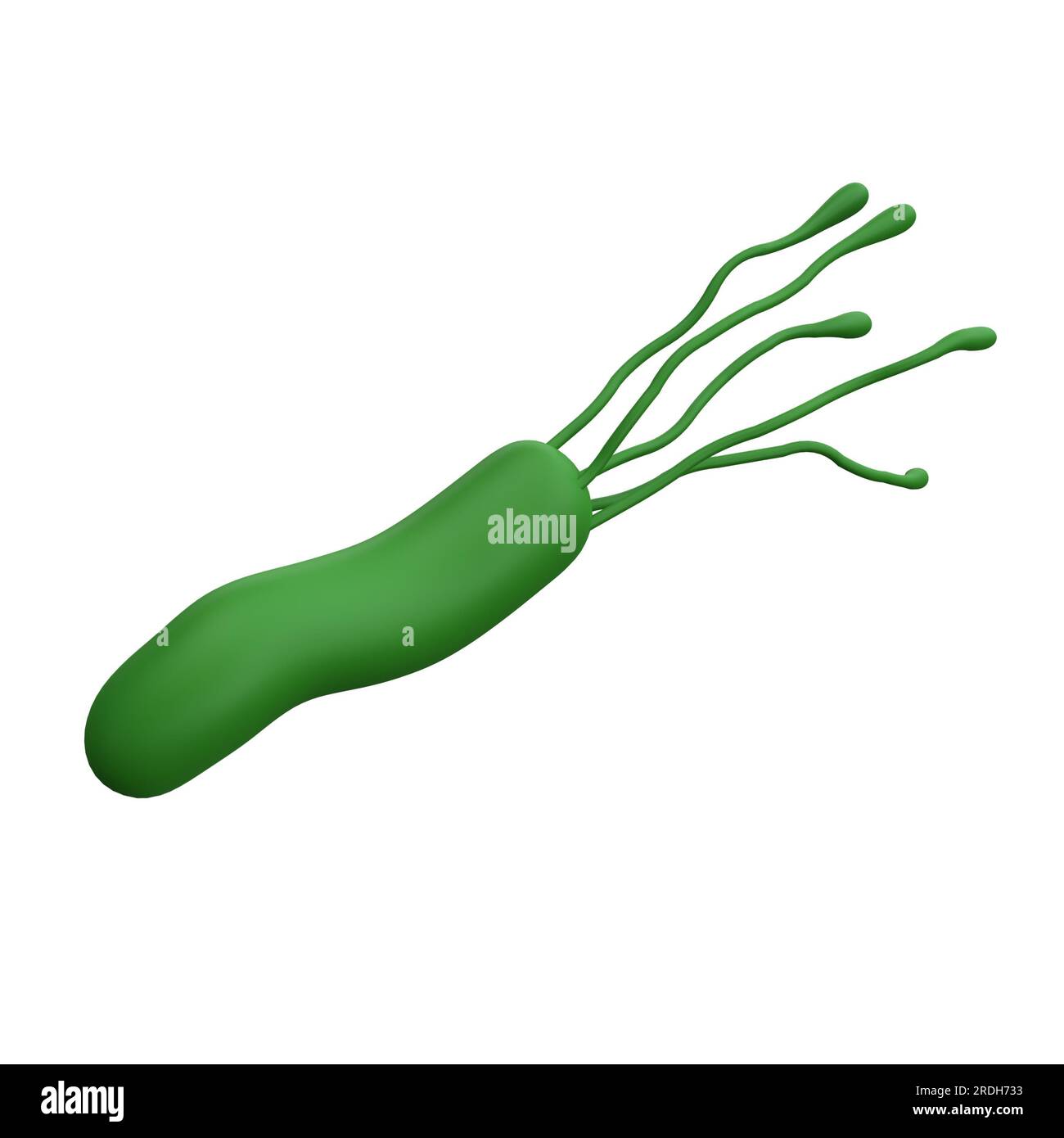 Helicobacter pylori bacteria 3d render realistic medicine icon for logo ...