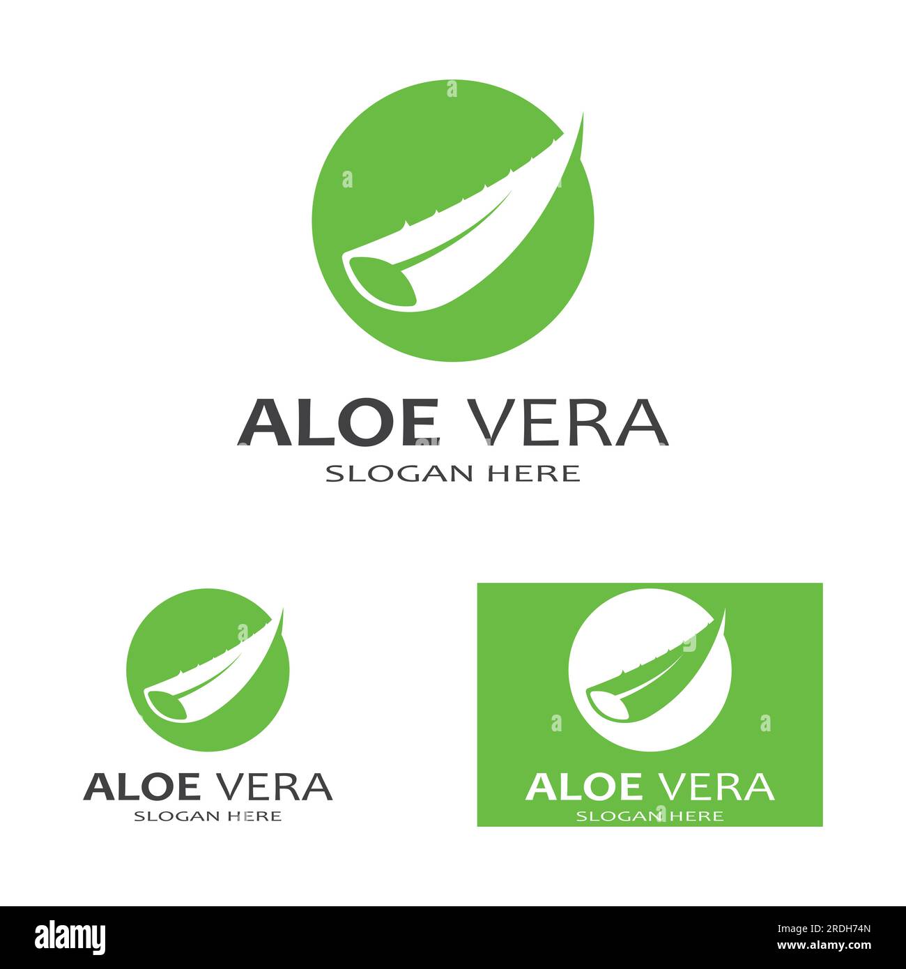 Aloe vera icon logo vector illustration Stock Vector Image & Art - Alamy
