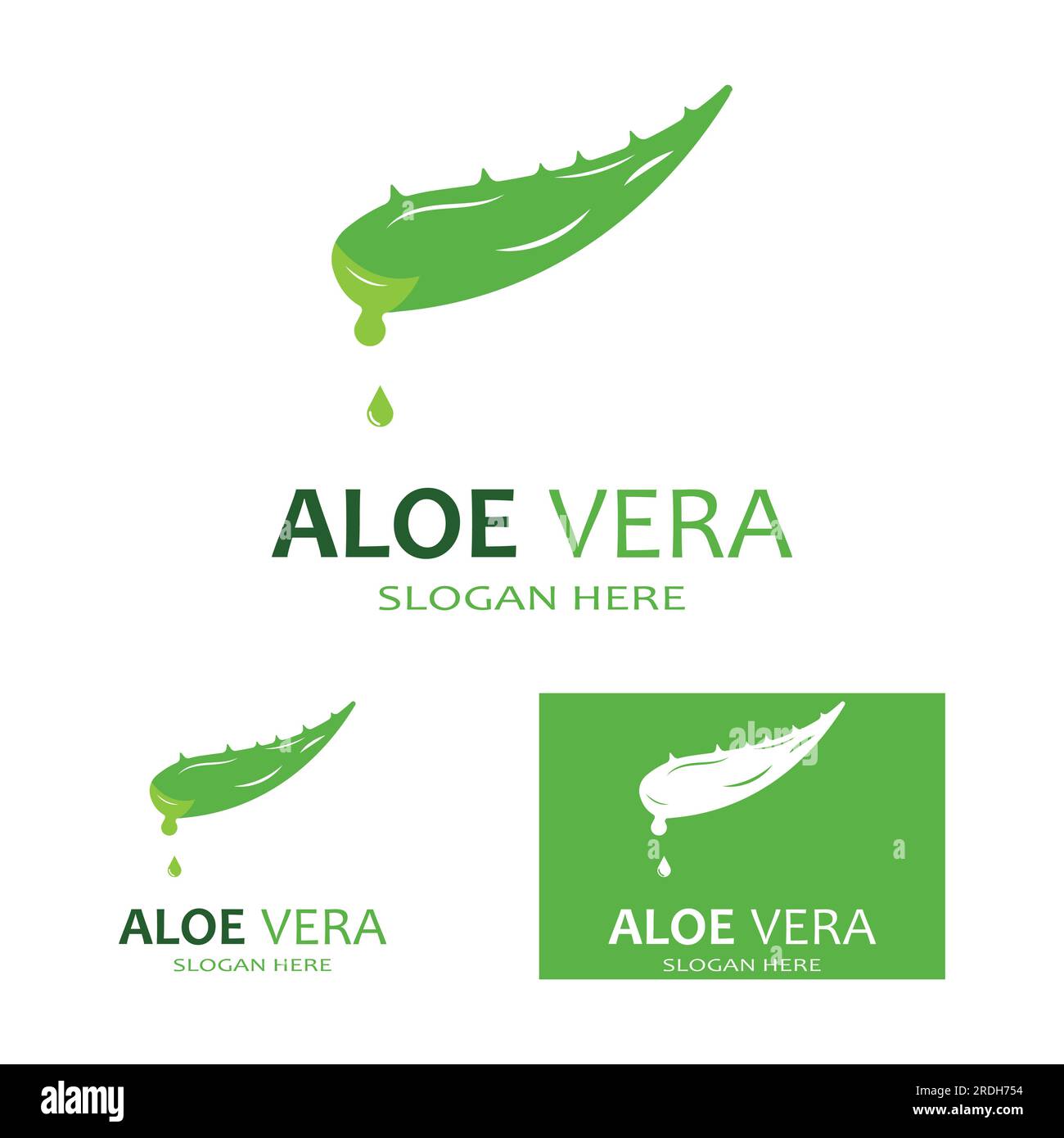 Aloe vera icon logo vector illustration Stock Vector Image & Art - Alamy