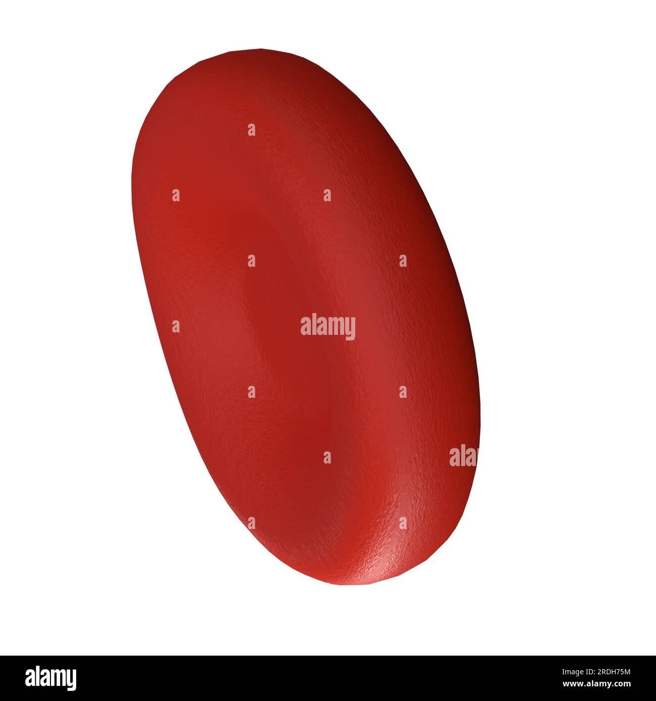 3d erythrocyte or red blood cell medicine isolated on white background ...