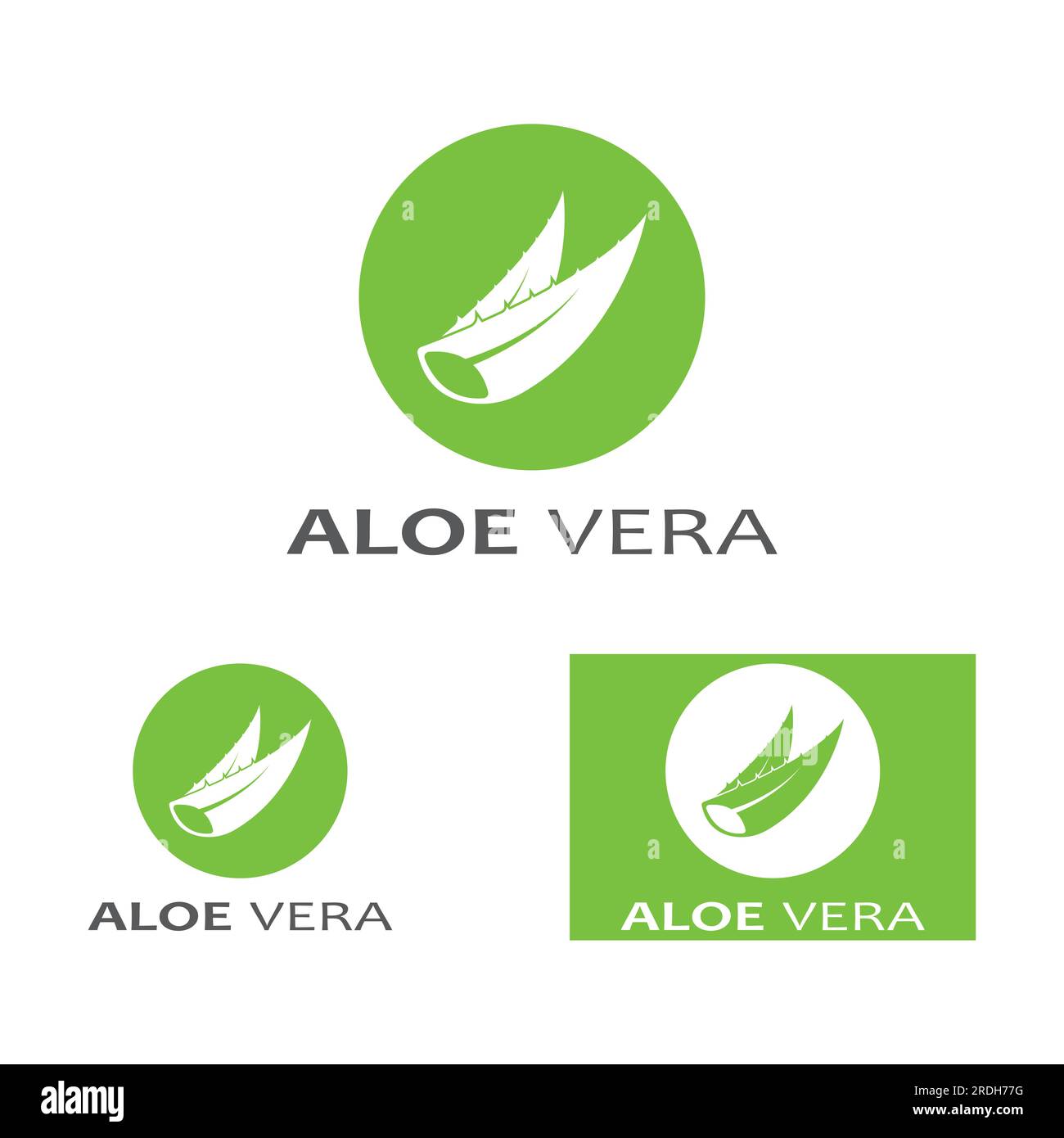 Aloe vera icon logo vector illustration Stock Vector Image & Art - Alamy
