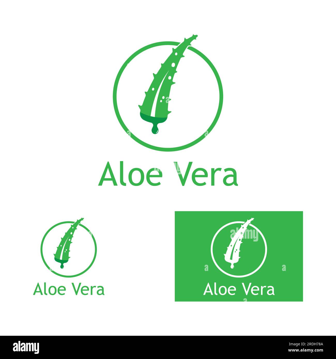 Aloe vera icon logo vector illustration Stock Vector Image & Art - Alamy