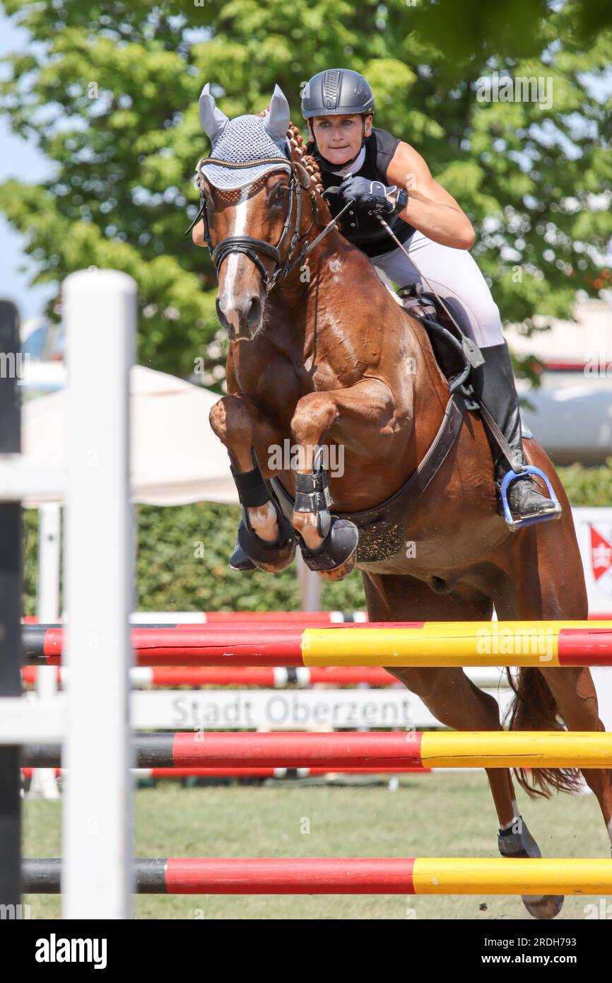 riding contest in germany Stock Photo - Alamy