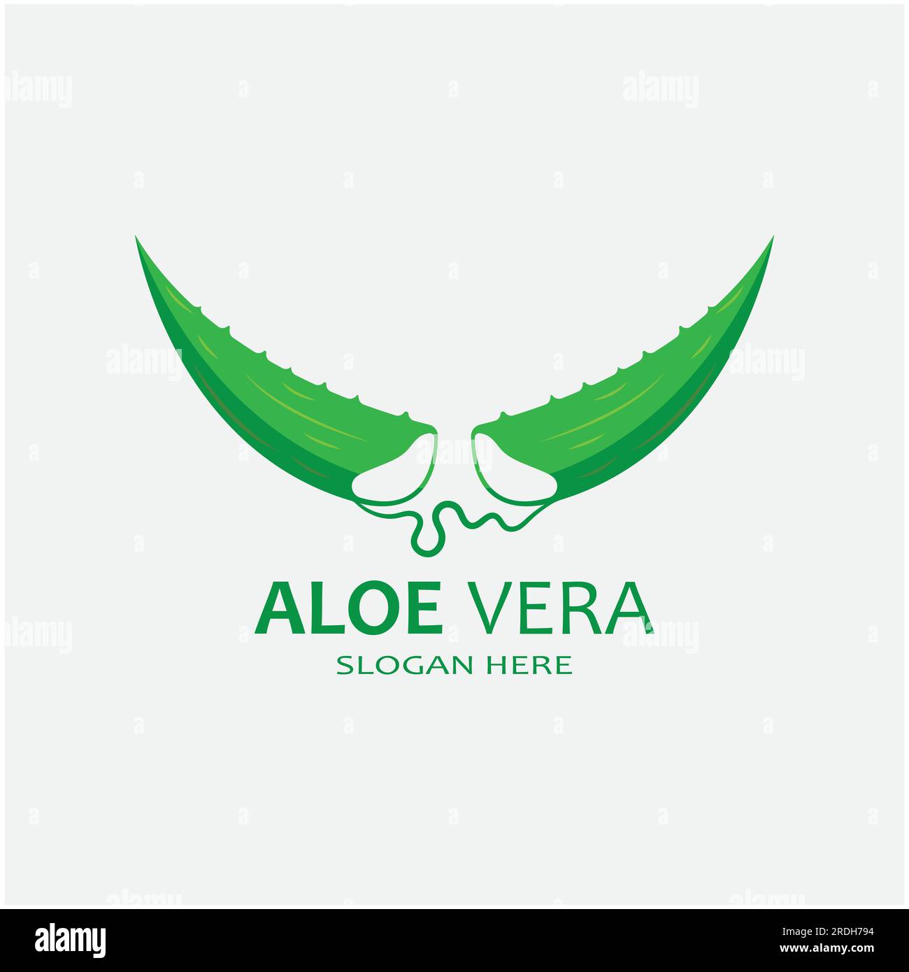 Aloe vera icon logo vector illustration Stock Vector Image & Art - Alamy