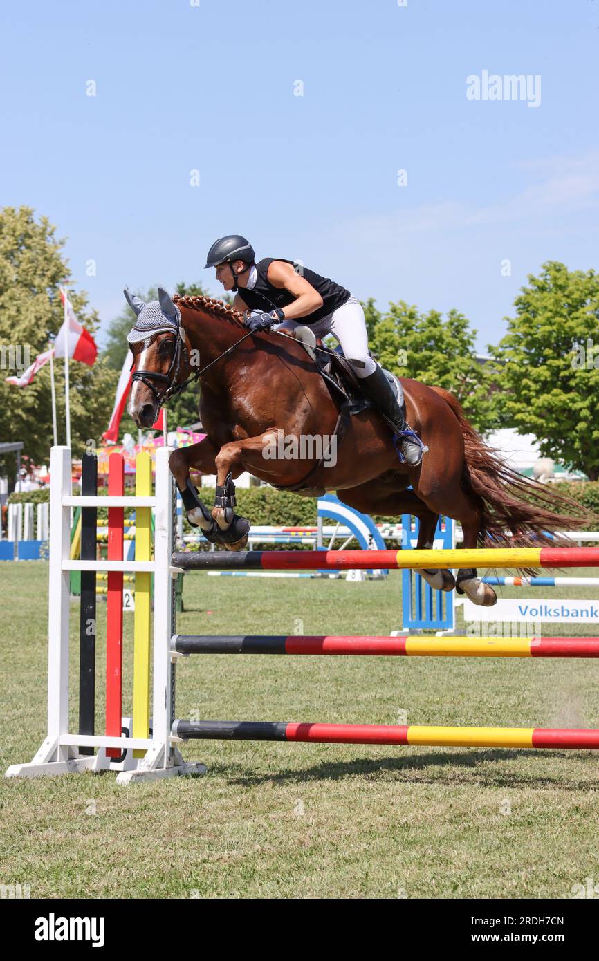riding contest in germany Stock Photo - Alamy