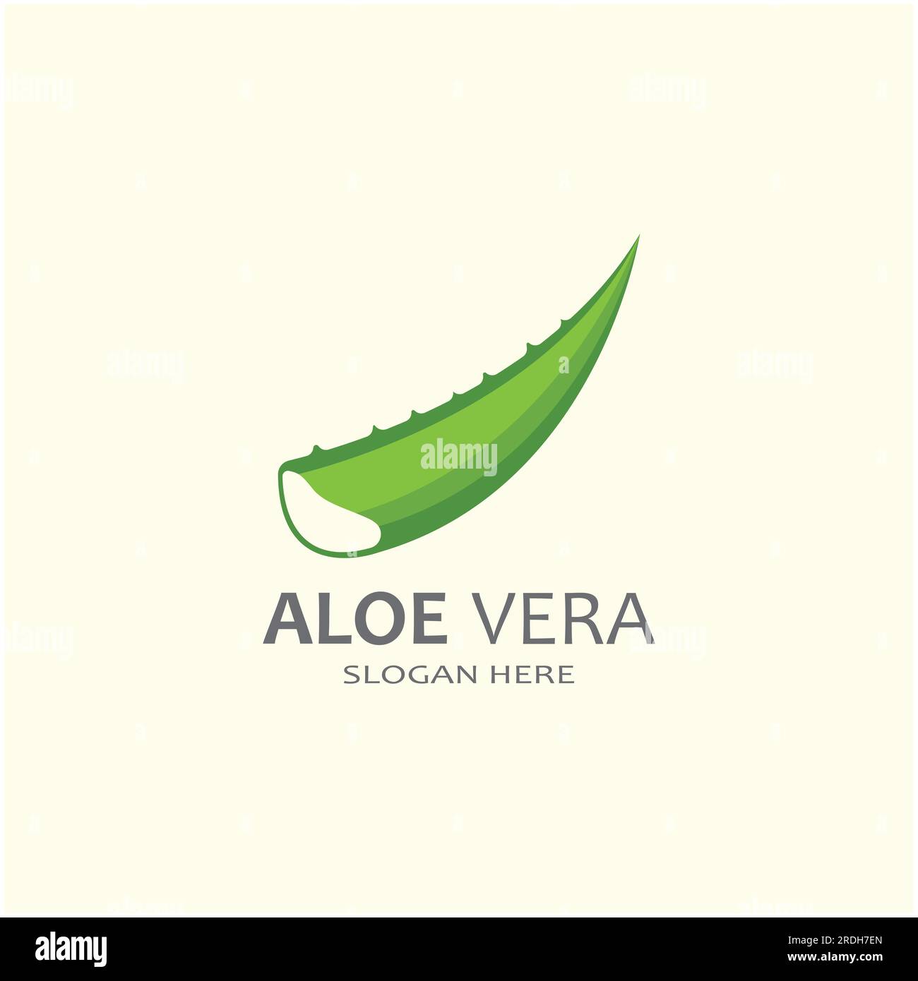 Aloe vera icon logo vector illustration Stock Vector Image & Art - Alamy