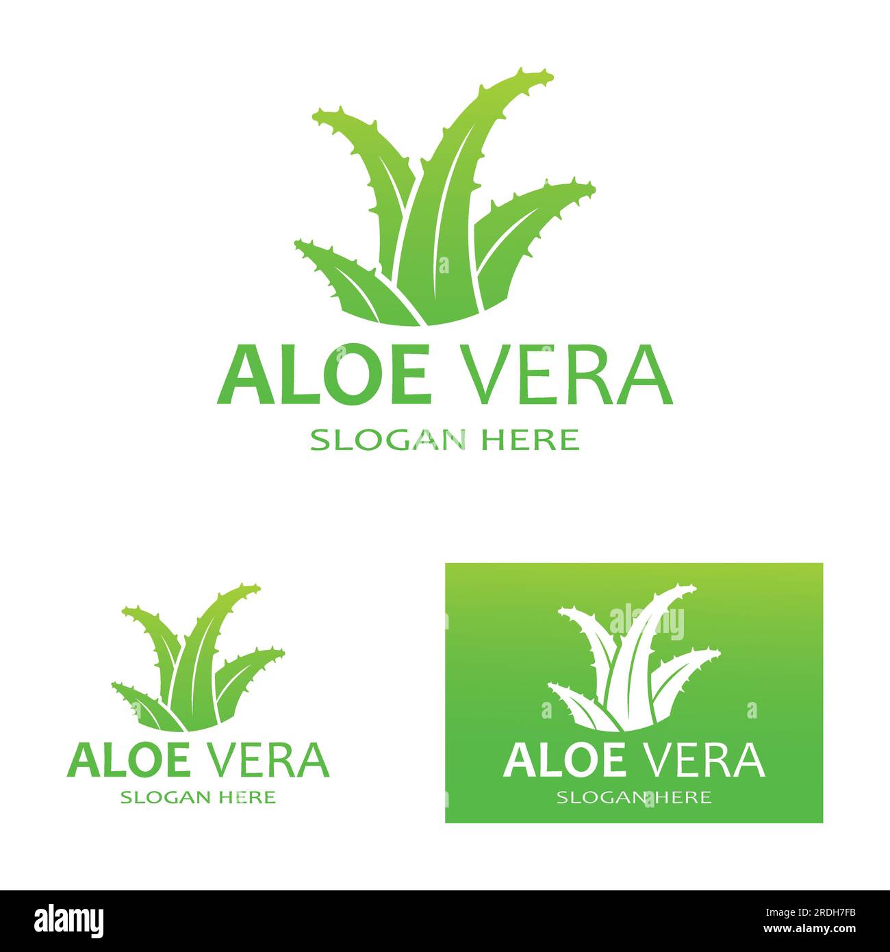 Aloe vera icon logo vector illustration Stock Vector Image & Art - Alamy