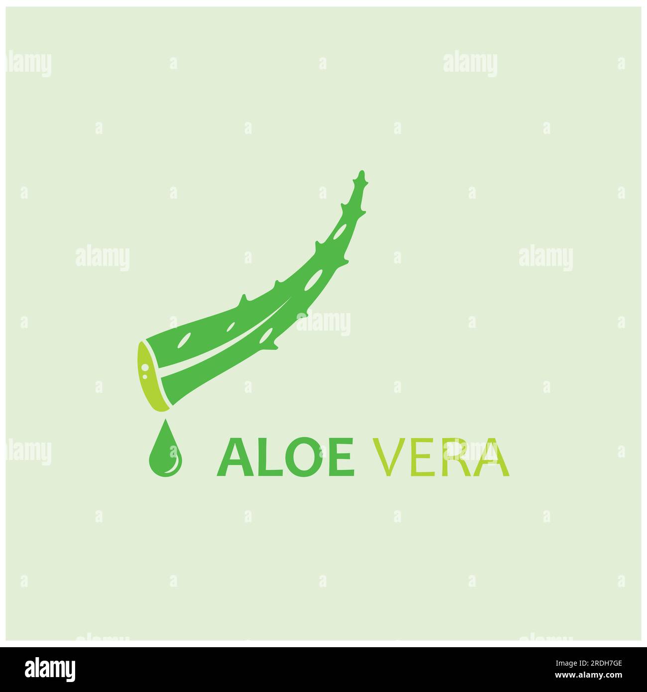 Aloe vera icon logo vector illustration Stock Vector Image & Art - Alamy