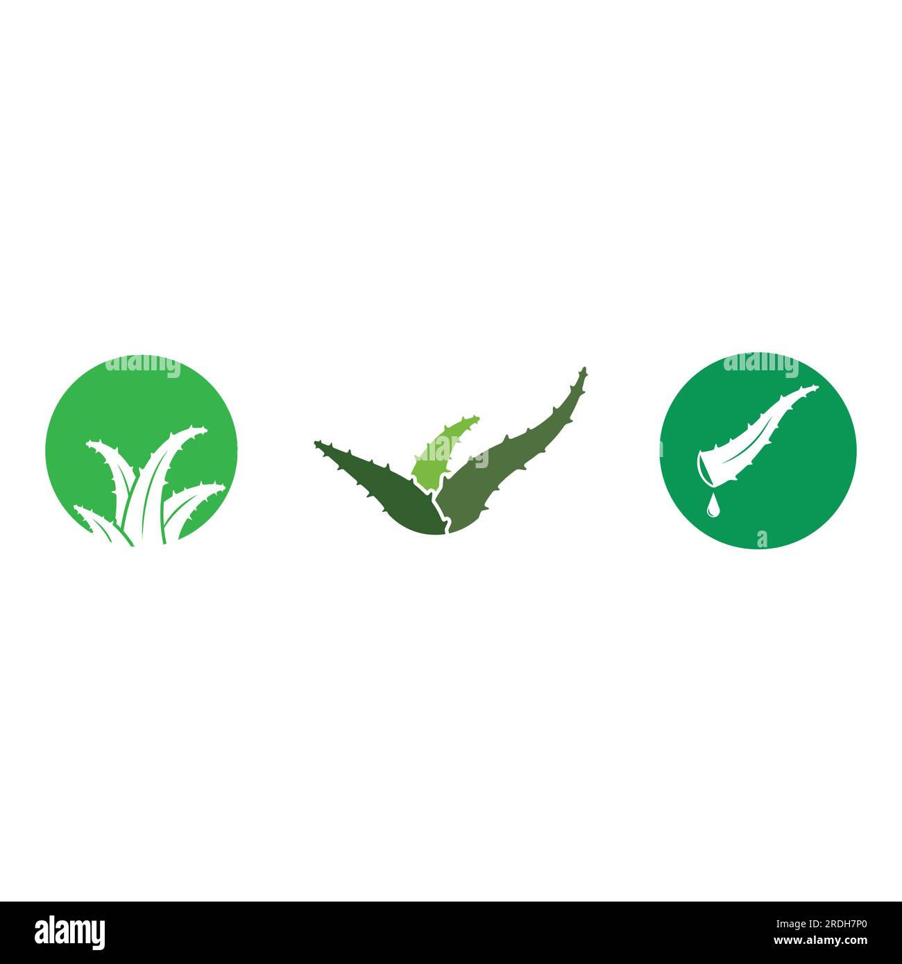 Aloe vera icon logo vector illustration Stock Vector Image & Art - Alamy