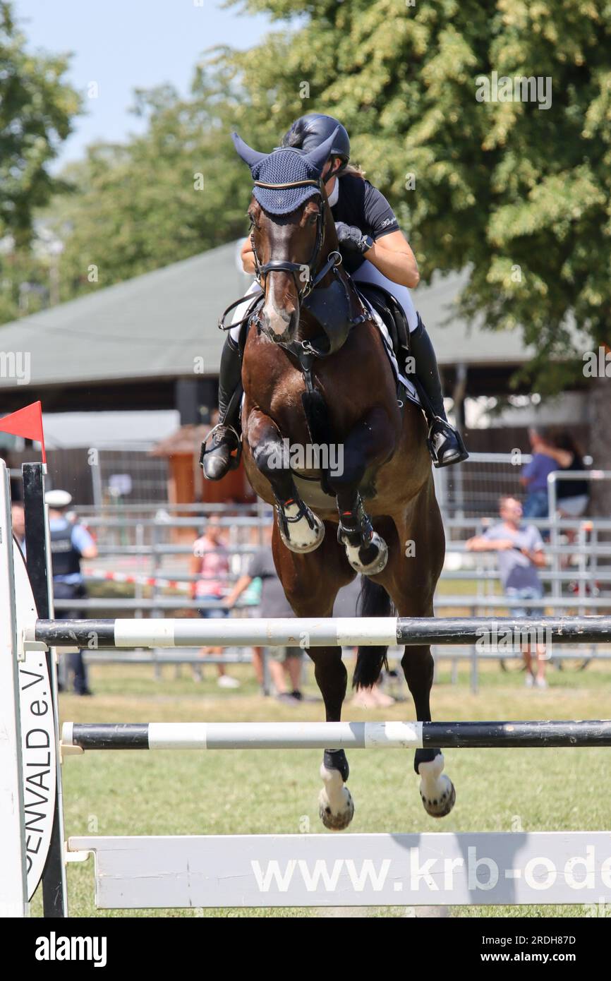 riding contest in germany Stock Photo - Alamy