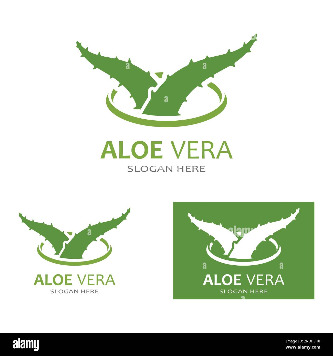 Aloe vera icon logo vector illustration Stock Vector Image & Art - Alamy