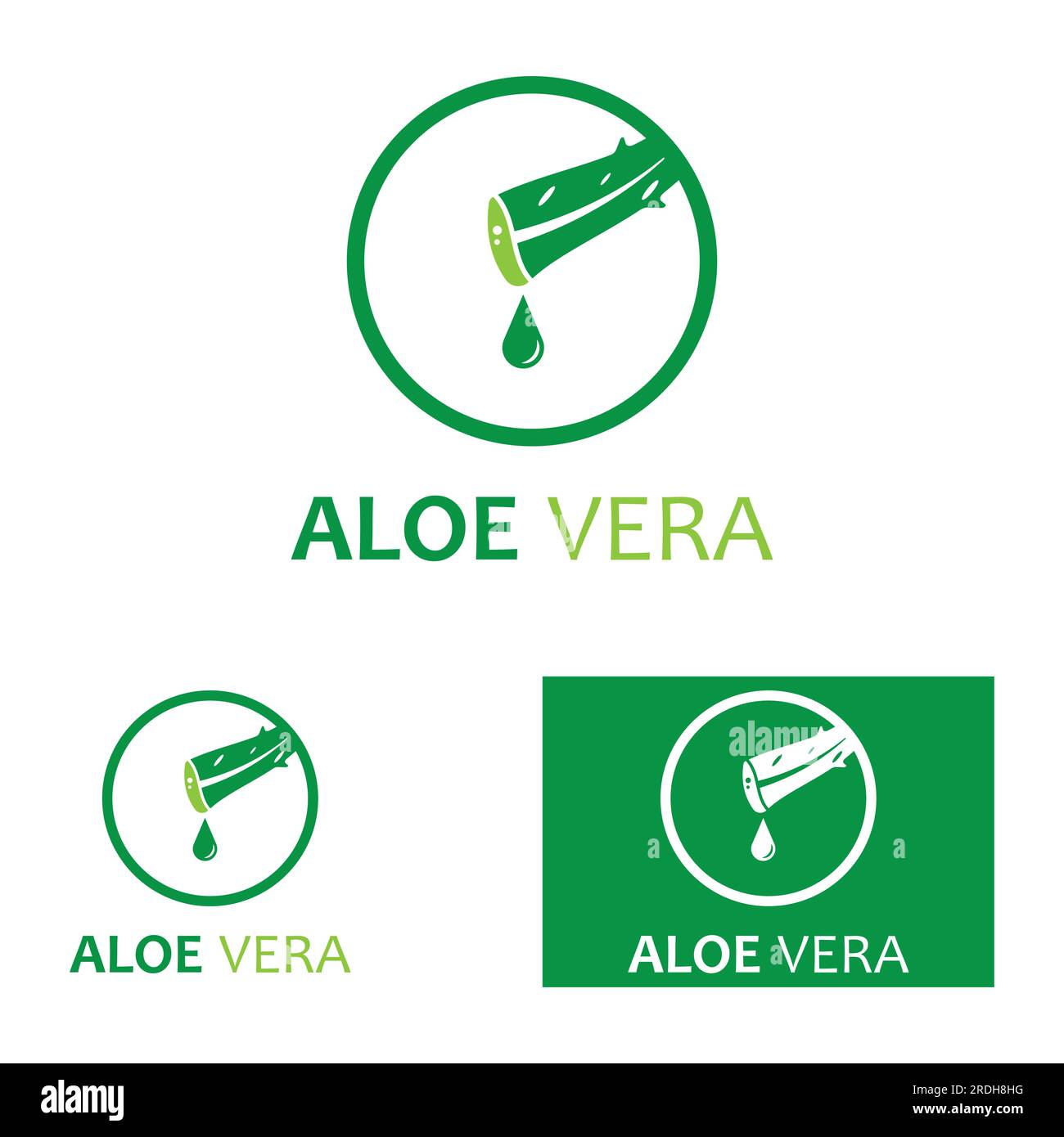 Aloe vera icon logo vector illustration Stock Vector Image & Art - Alamy