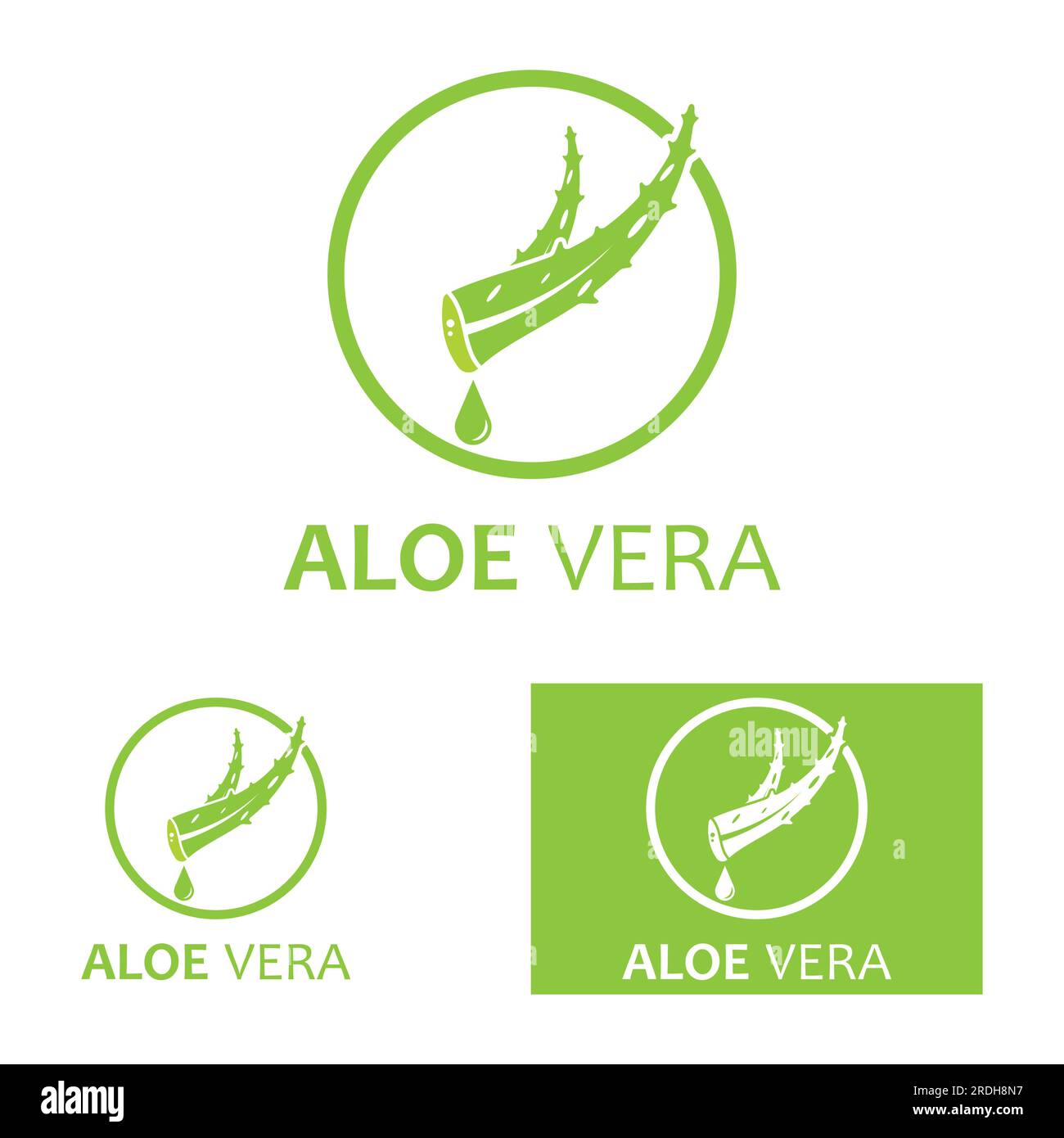 Aloe vera icon logo vector illustration Stock Vector Image & Art - Alamy