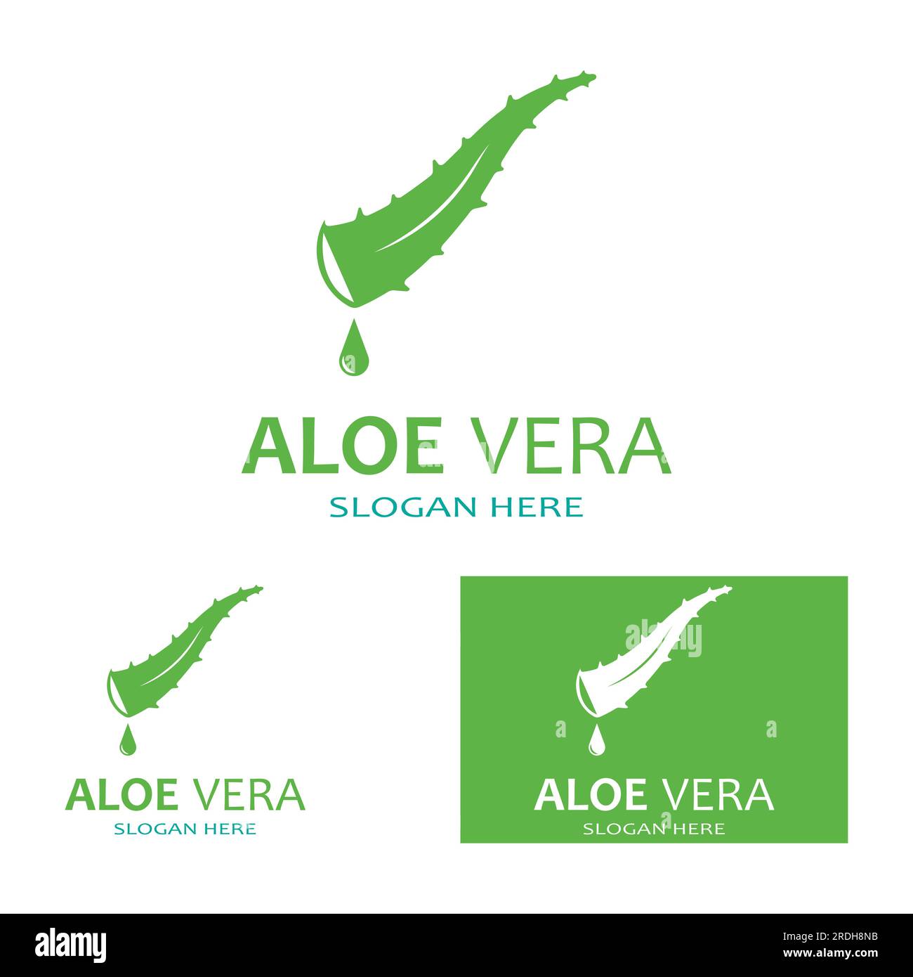 Aloe vera icon logo vector illustration Stock Vector Image & Art - Alamy