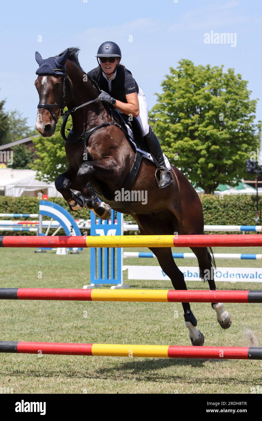 riding contest in germany Stock Photo - Alamy