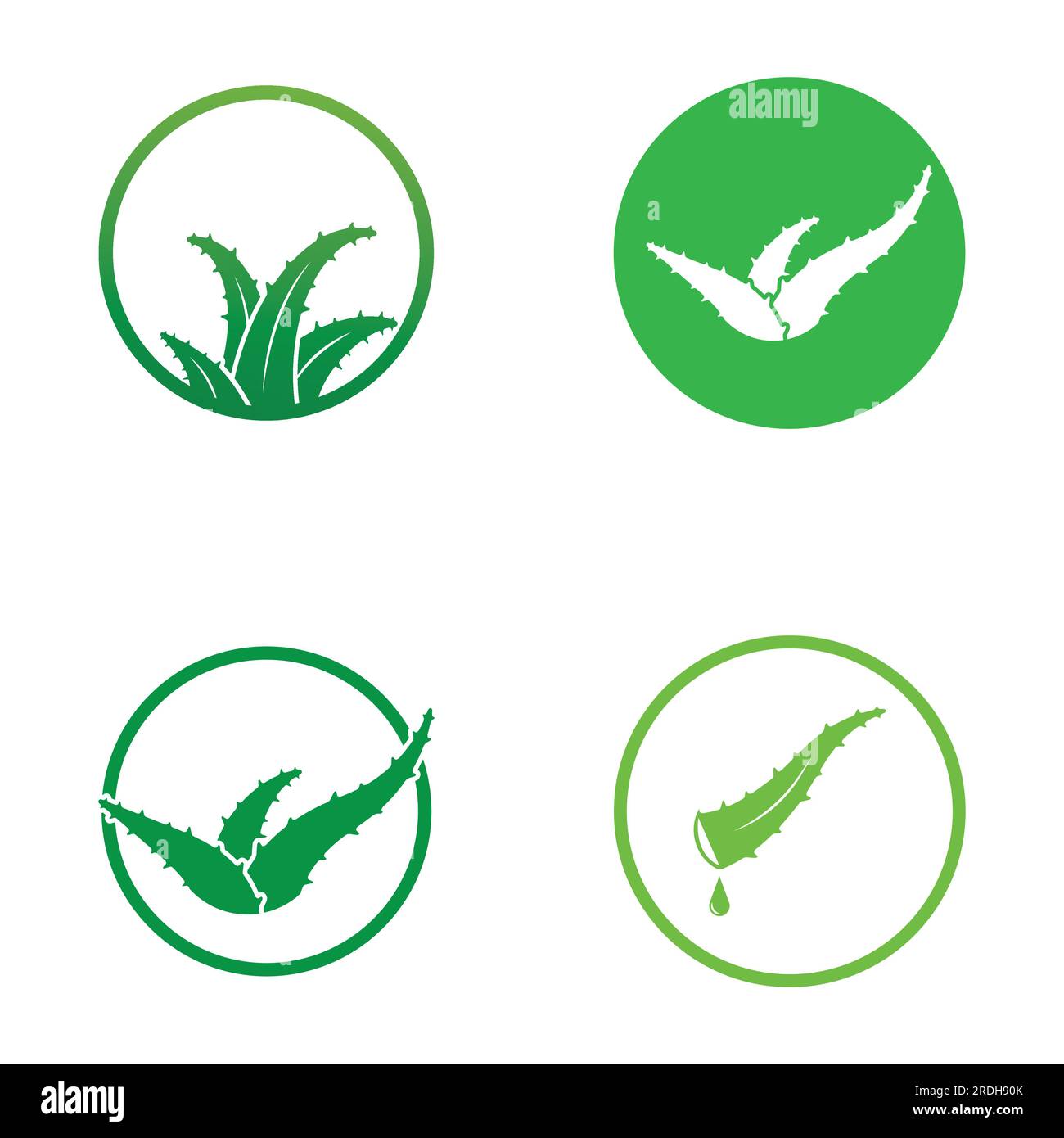 Aloe vera icon logo vector illustration Stock Vector Image & Art - Alamy