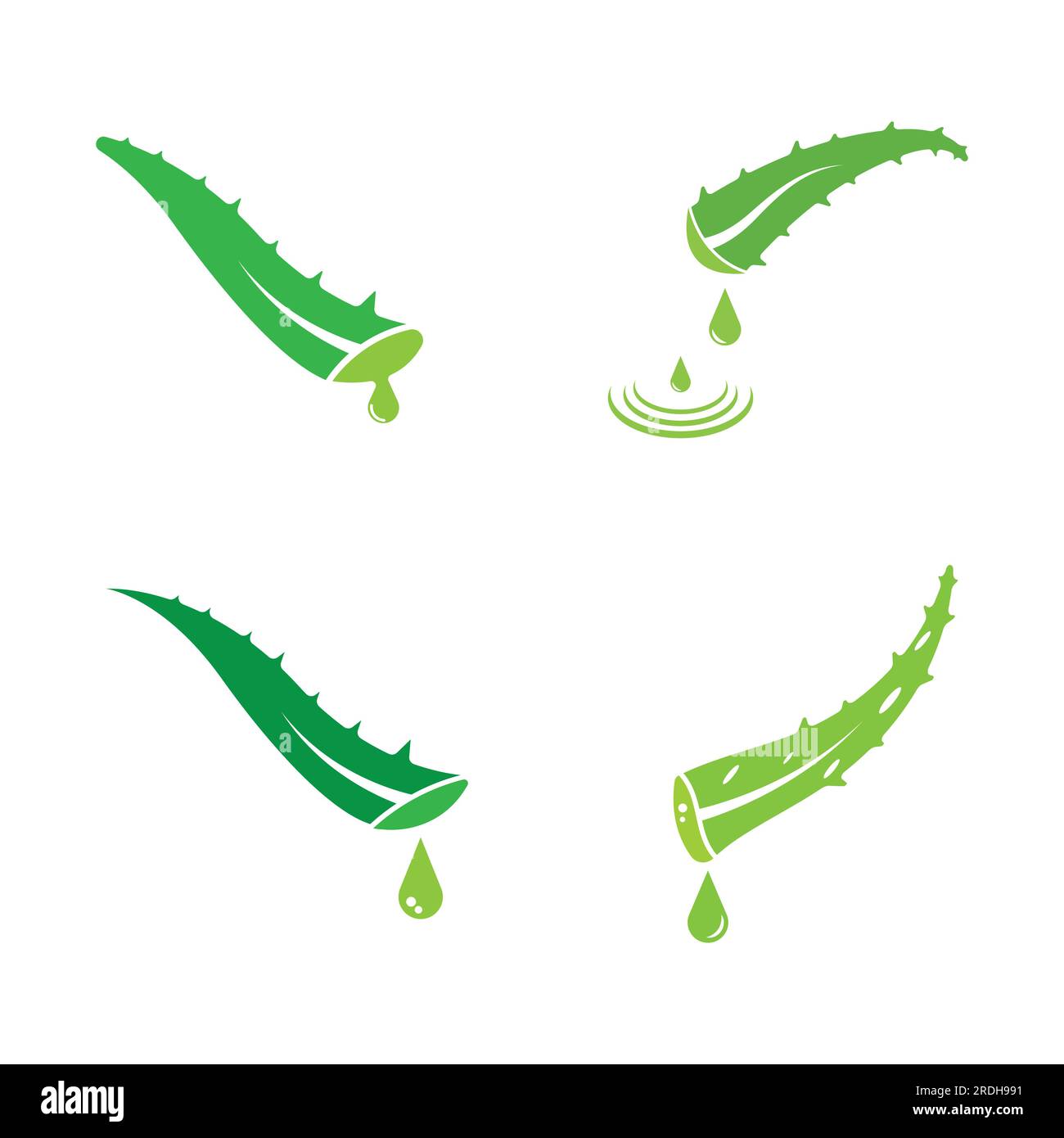 Aloe vera icon logo vector illustration Stock Vector Image & Art - Alamy