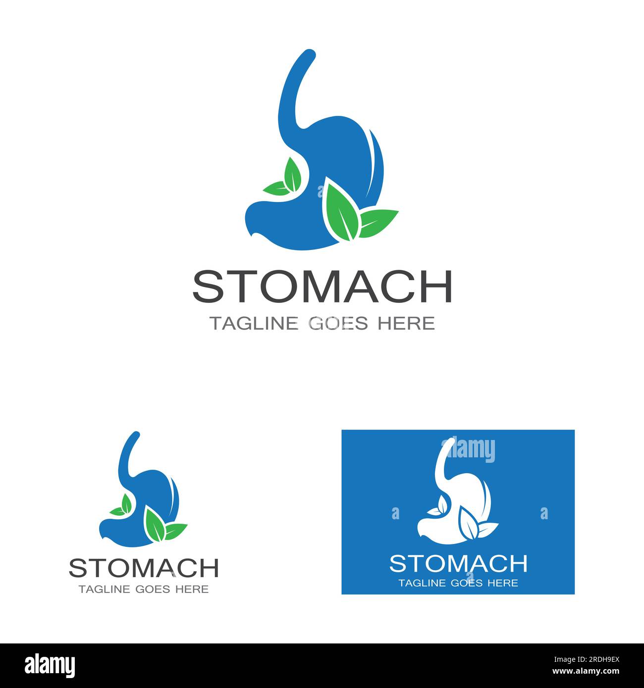 stomach health and stomach care logo design Stock Vector Image & Art ...