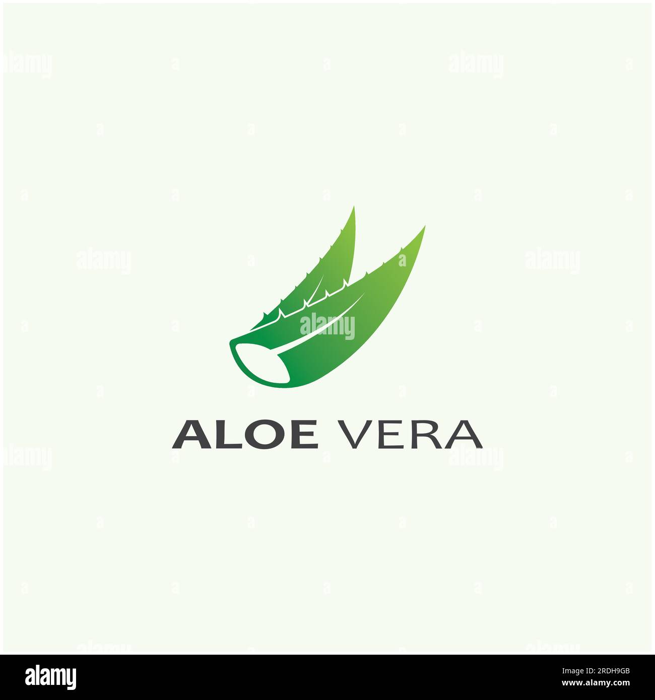 Aloe vera icon logo vector illustration Stock Vector Image & Art - Alamy