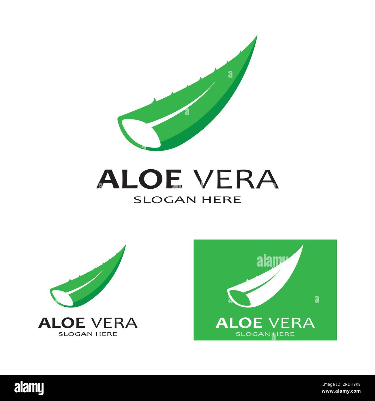 Aloe vera icon logo vector illustration Stock Vector Image & Art - Alamy