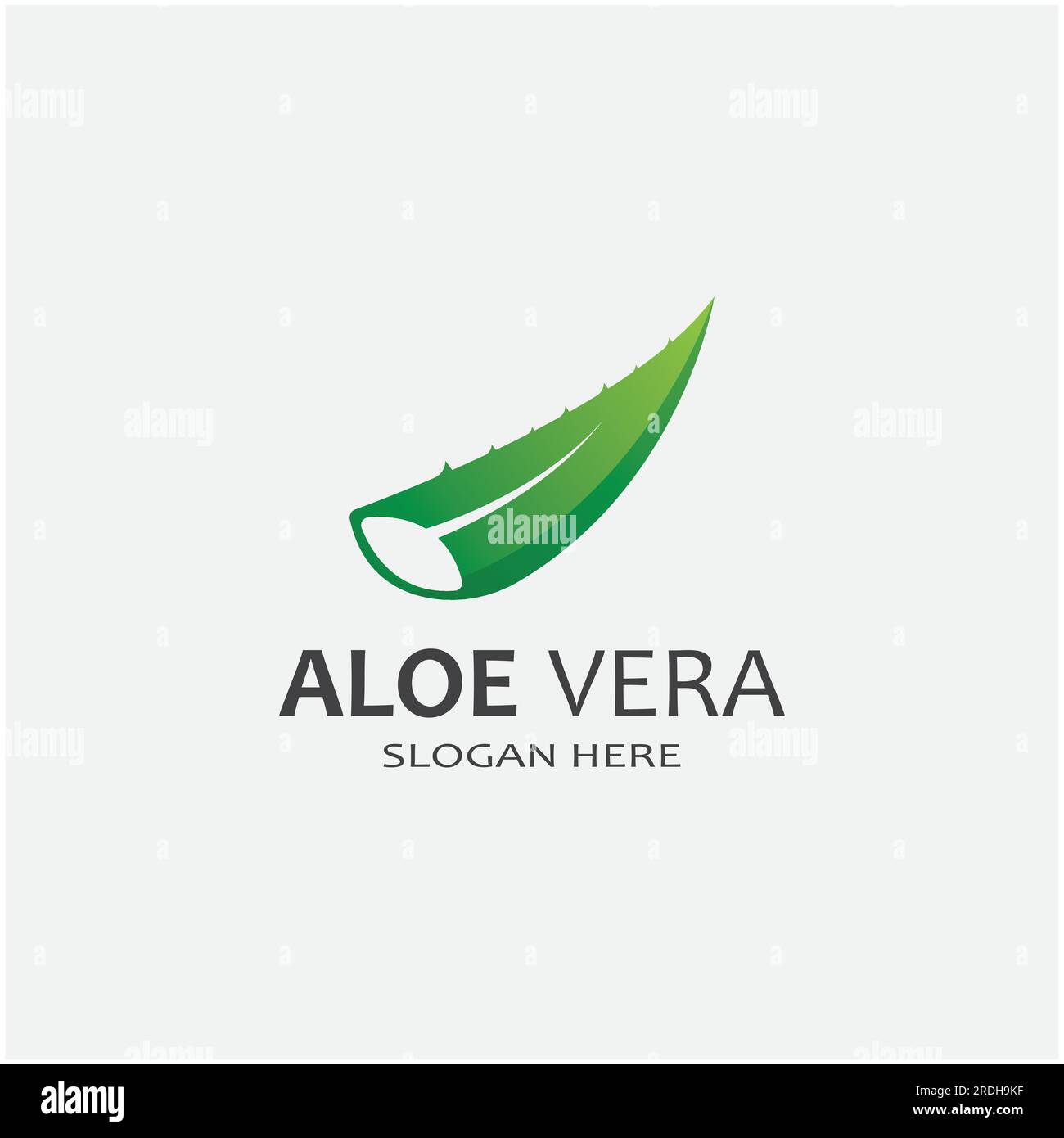 Aloe vera icon logo vector illustration Stock Vector Image & Art - Alamy