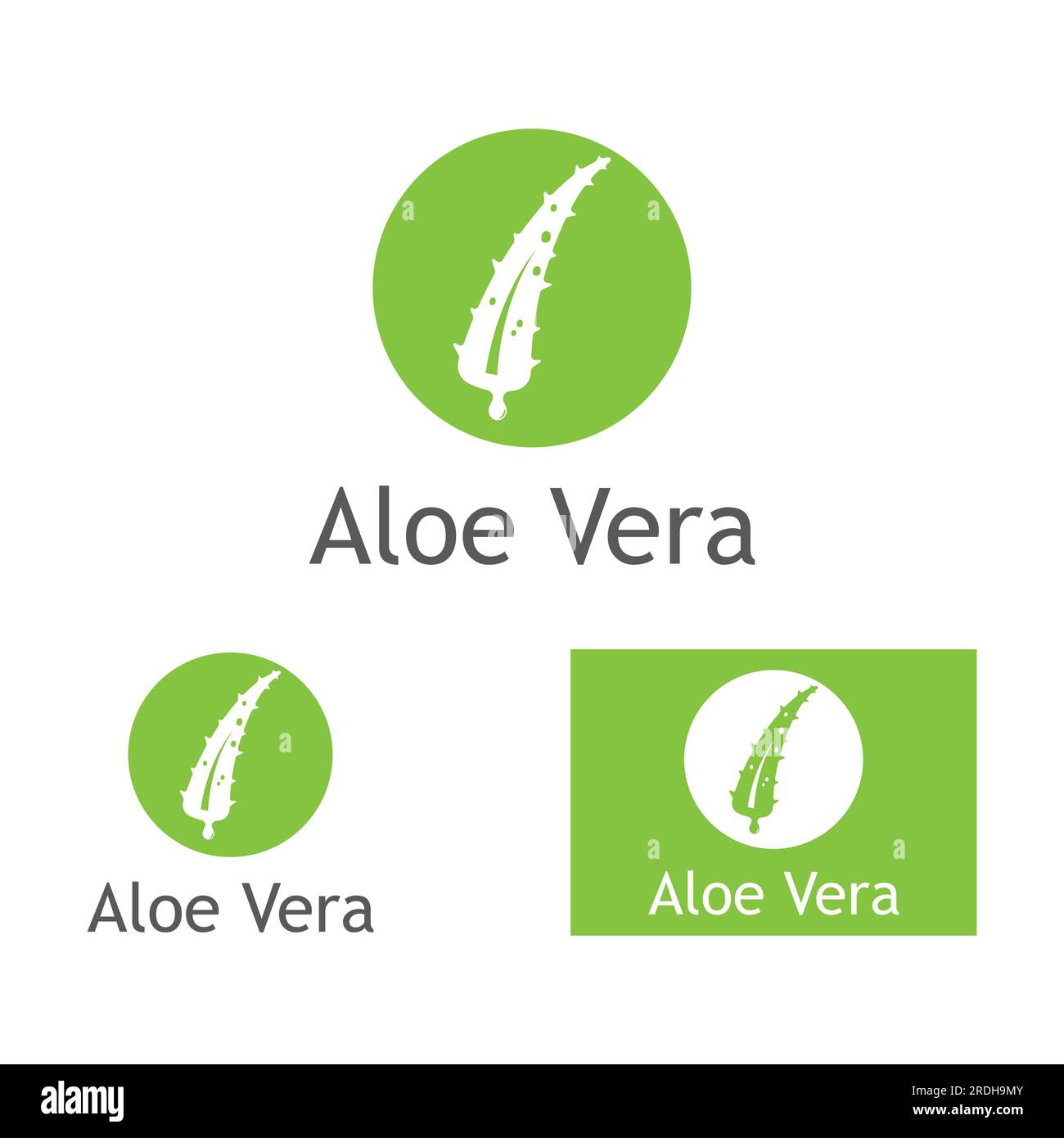 Aloe vera icon logo vector illustration Stock Vector Image & Art - Alamy
