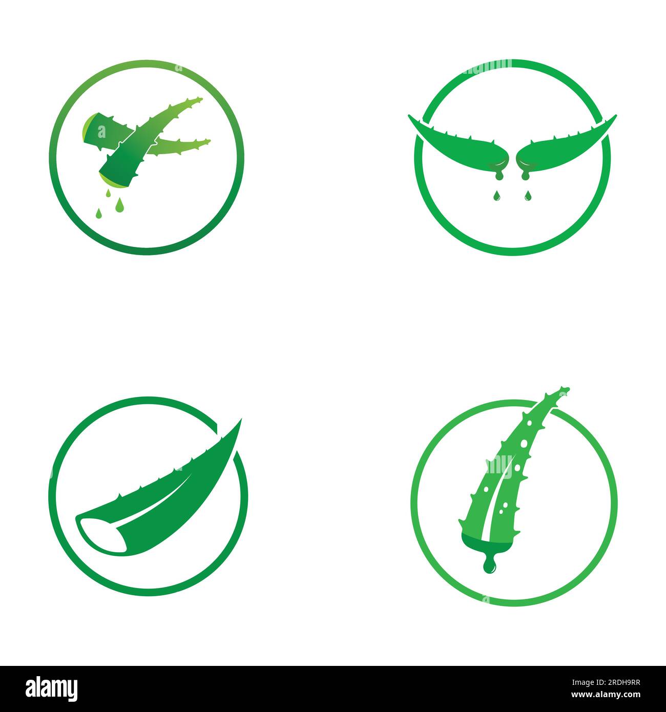 Aloe vera icon logo vector illustration Stock Vector Image & Art - Alamy