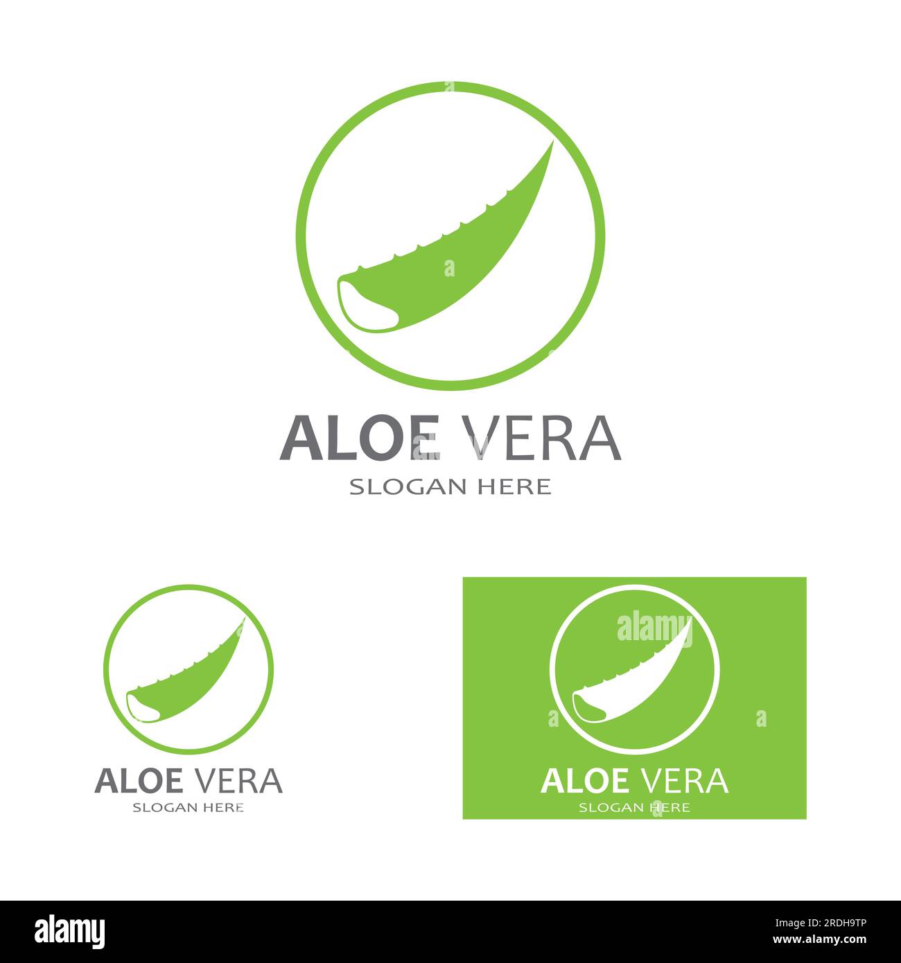 Aloe vera icon logo vector illustration Stock Vector Image & Art - Alamy