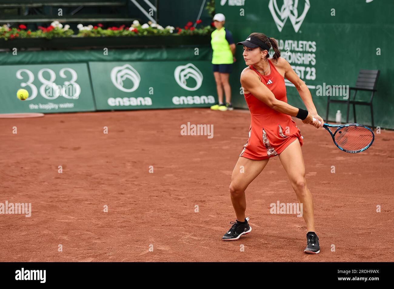 Elina avanesyan hi-res stock photography and images - Alamy