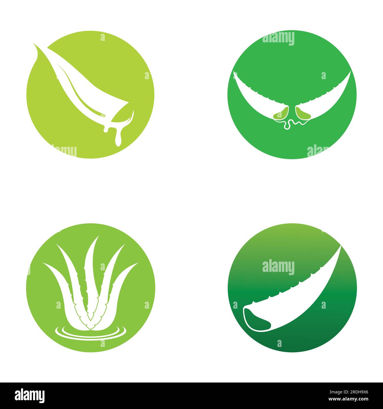 Aloe vera icon logo vector illustration Stock Vector Image & Art - Alamy