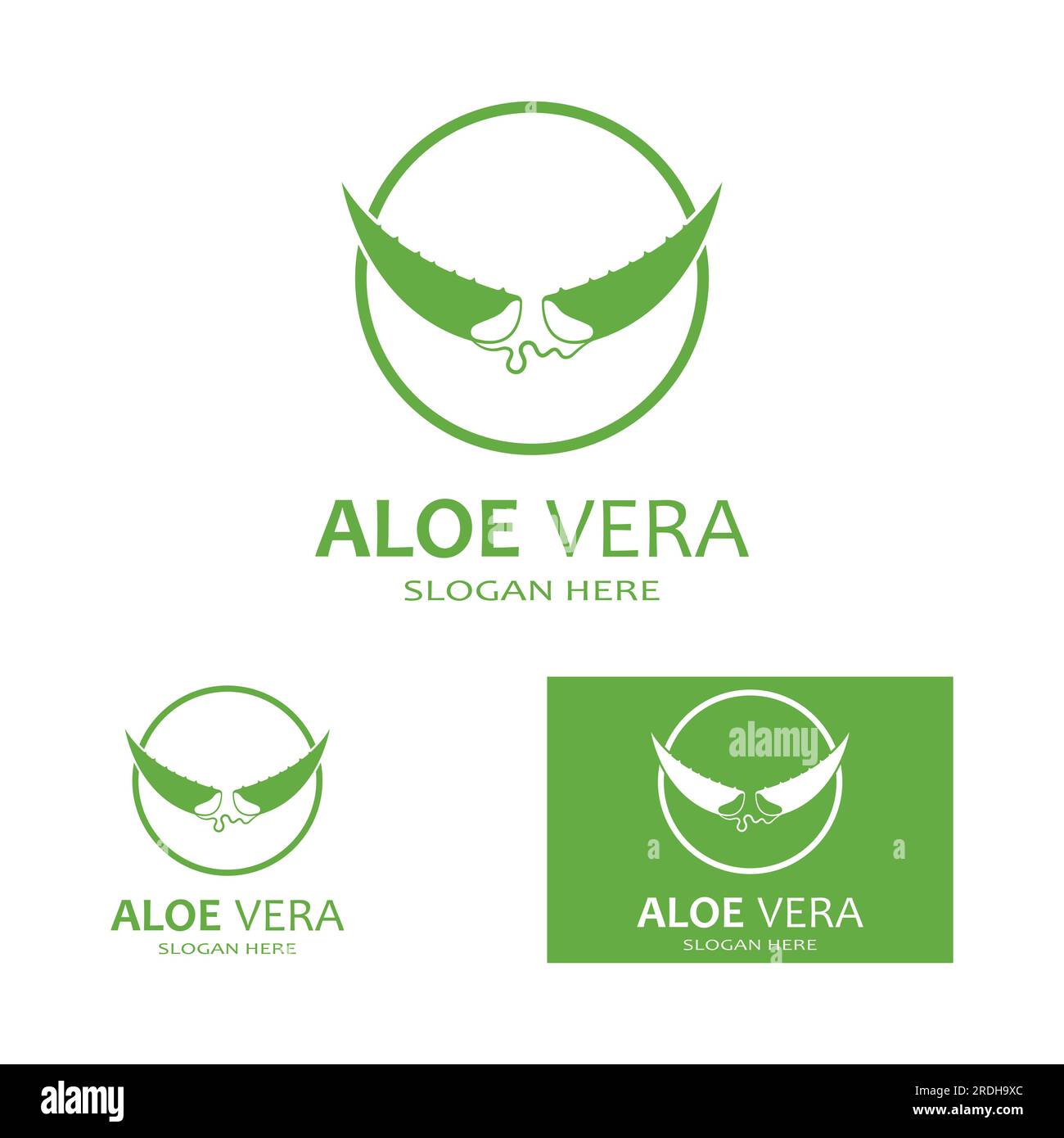 Aloe vera icon logo vector illustration Stock Vector Image & Art - Alamy