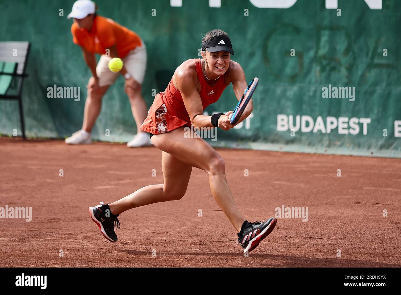 Avanesyan hi-res stock photography and images - Alamy