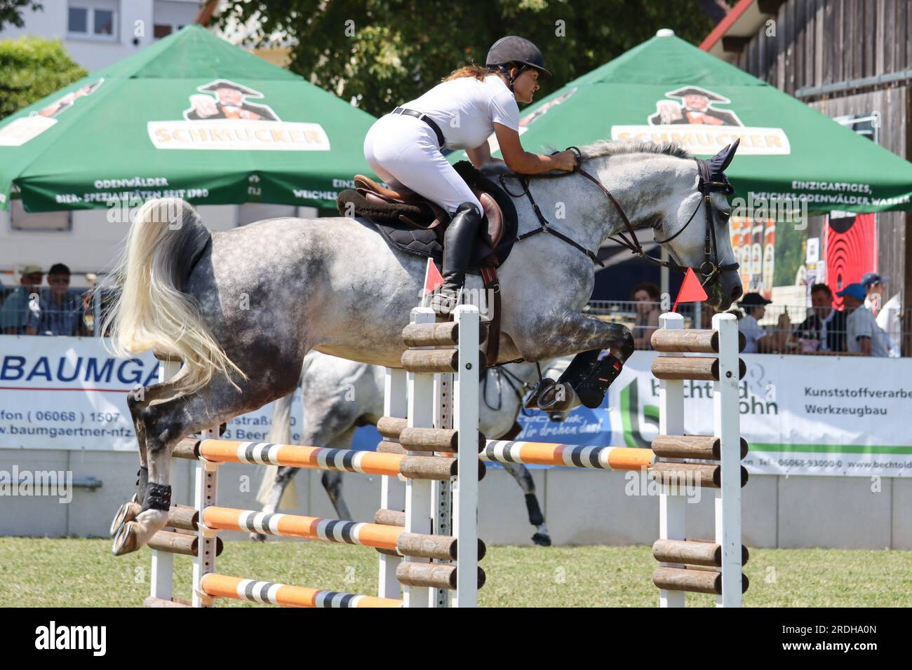 riding contest in germany Stock Photo - Alamy