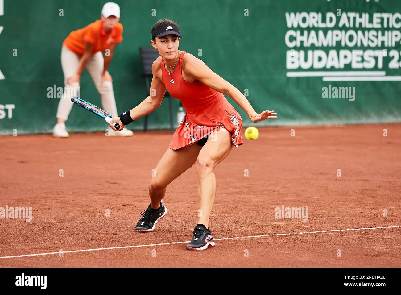 Elina avanesyan hi-res stock photography and images - Alamy
