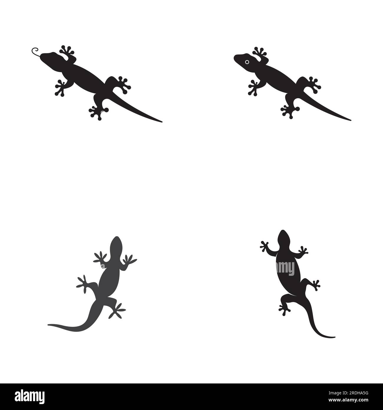 house lizard or gecko logo, with vector logo design Stock Vector Image ...