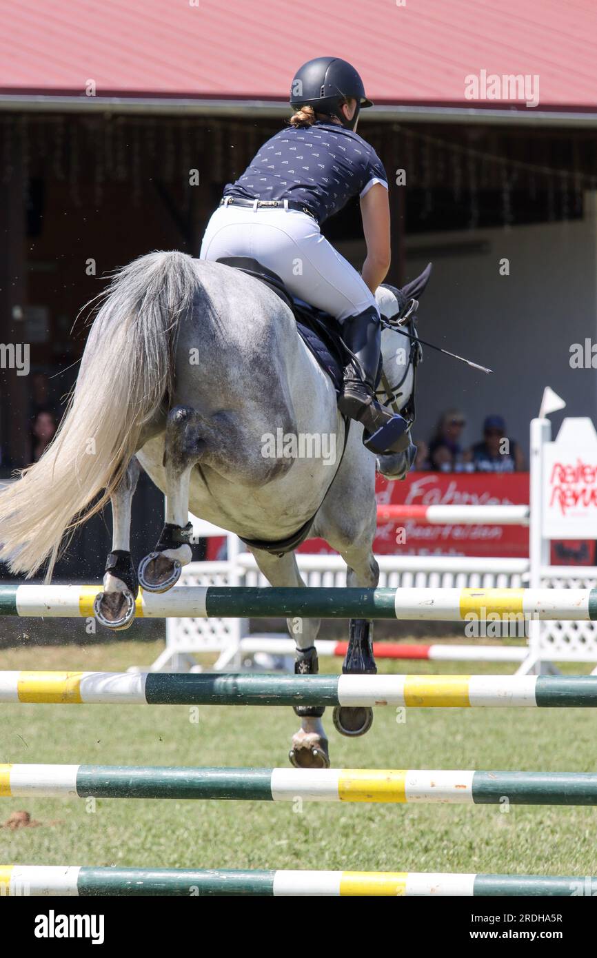 riding contest in germany Stock Photo - Alamy