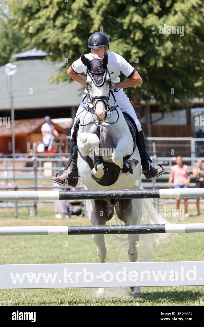 riding contest in germany Stock Photo - Alamy