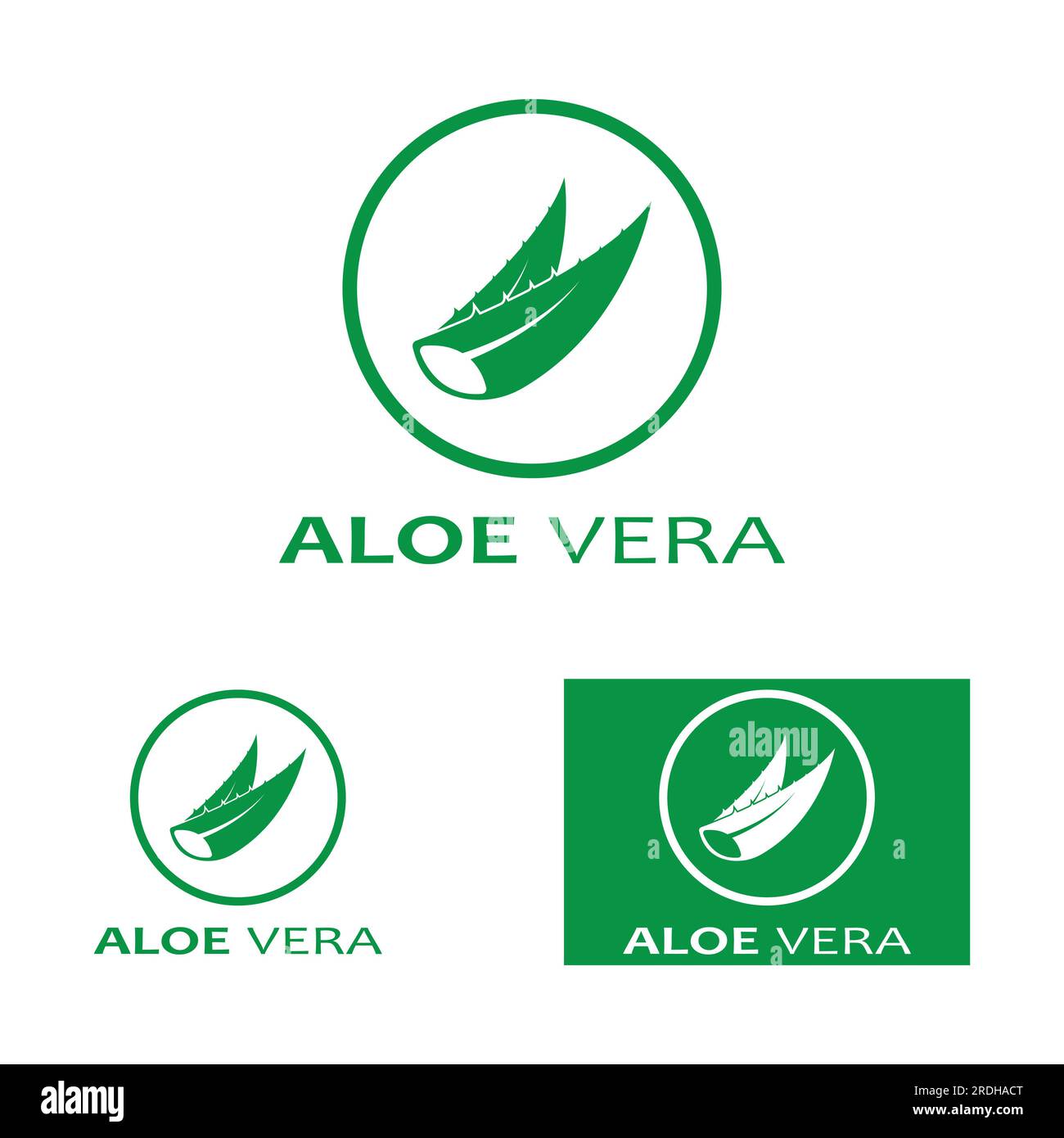 Aloe vera icon logo vector illustration Stock Vector Image & Art - Alamy